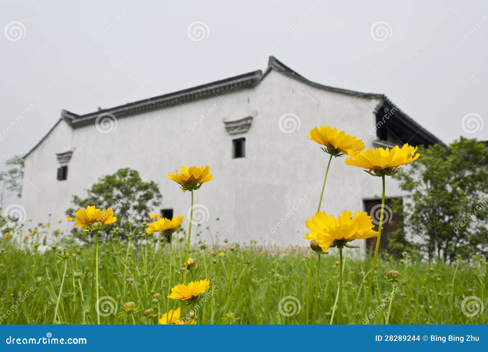 Flowers before Chinese Folk House Stock Photo - Image of scene ...