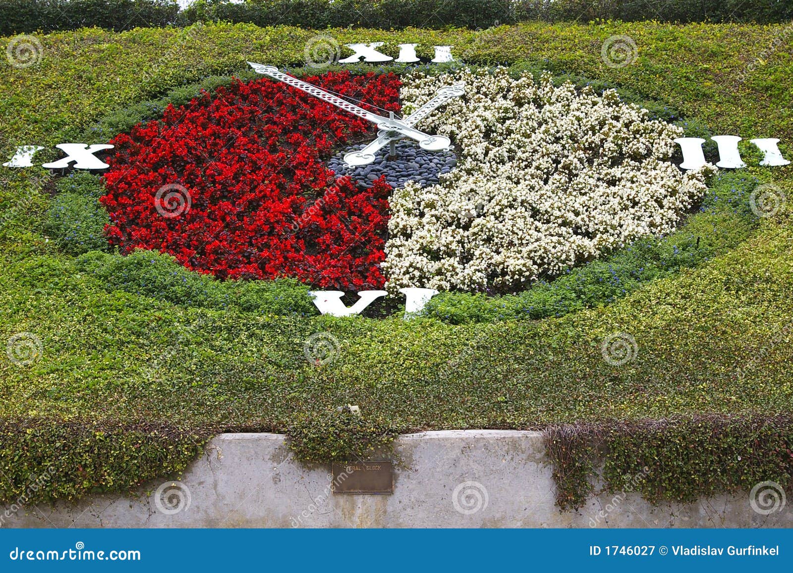 Flowers clock stock image. Image of colorful, colors, hour - 1746027