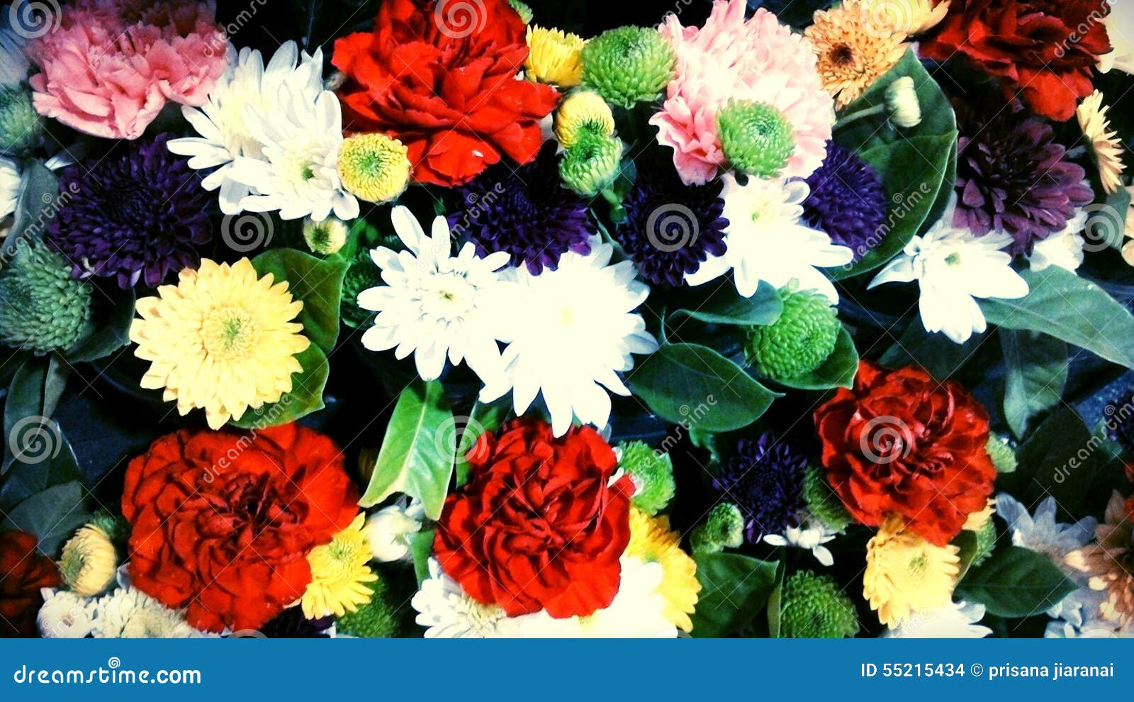 Flowers stock photo. Image of colourful, flower, love - 55215434