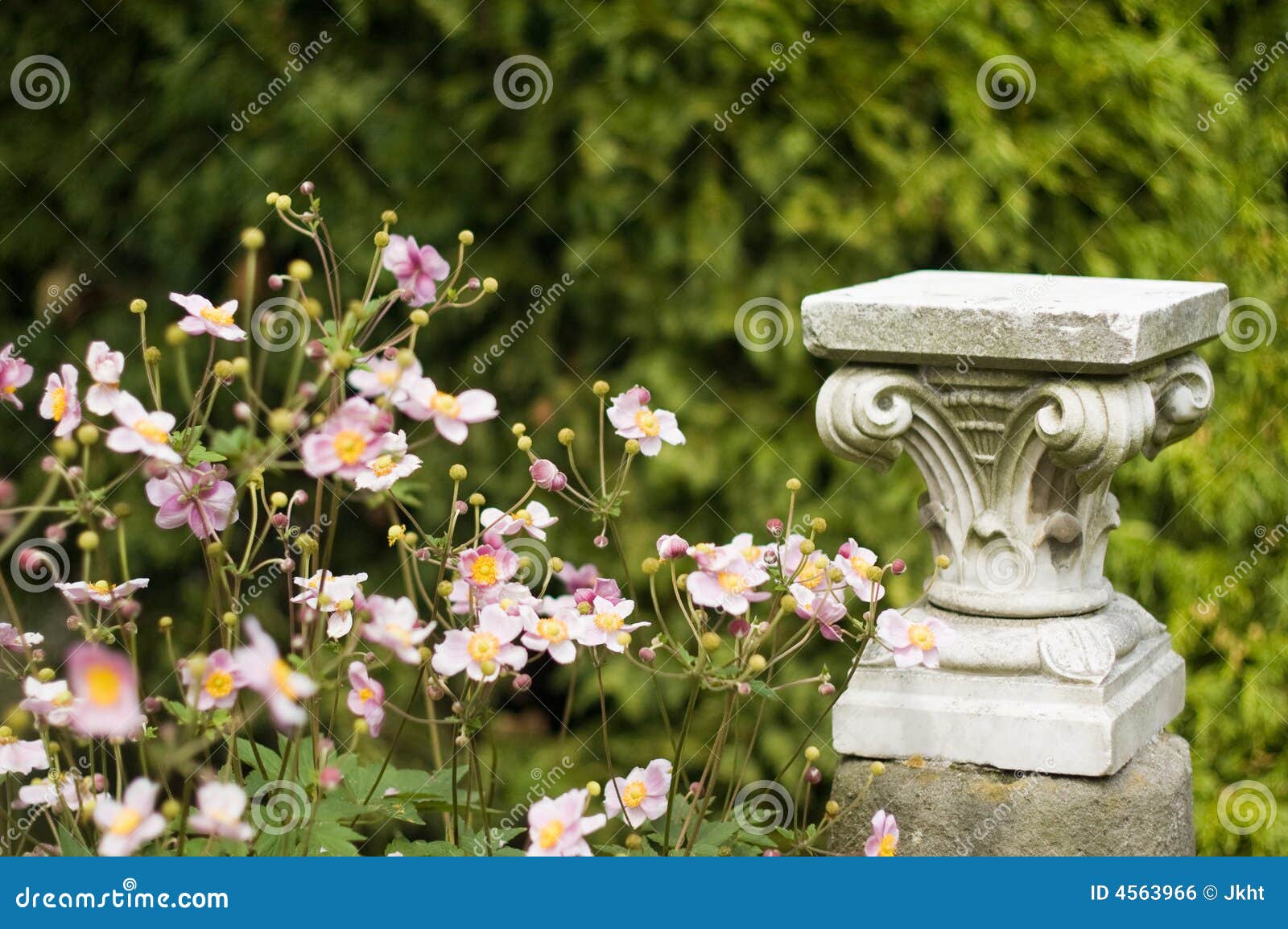 Flowers and column capital stock photo. Image of luxury - 4563966