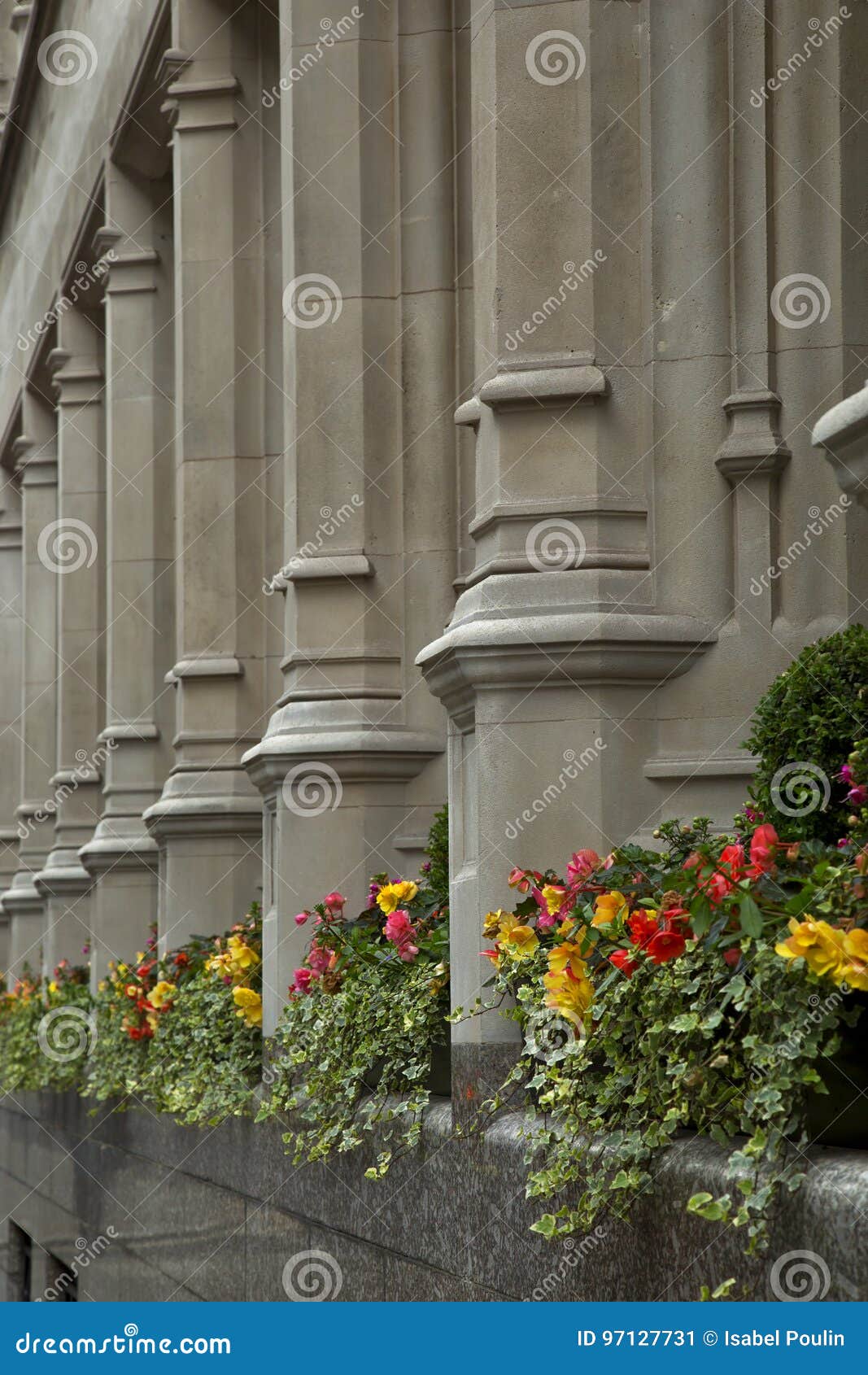 Flowers and columns stock image. Image of columns, architecture - 97127731