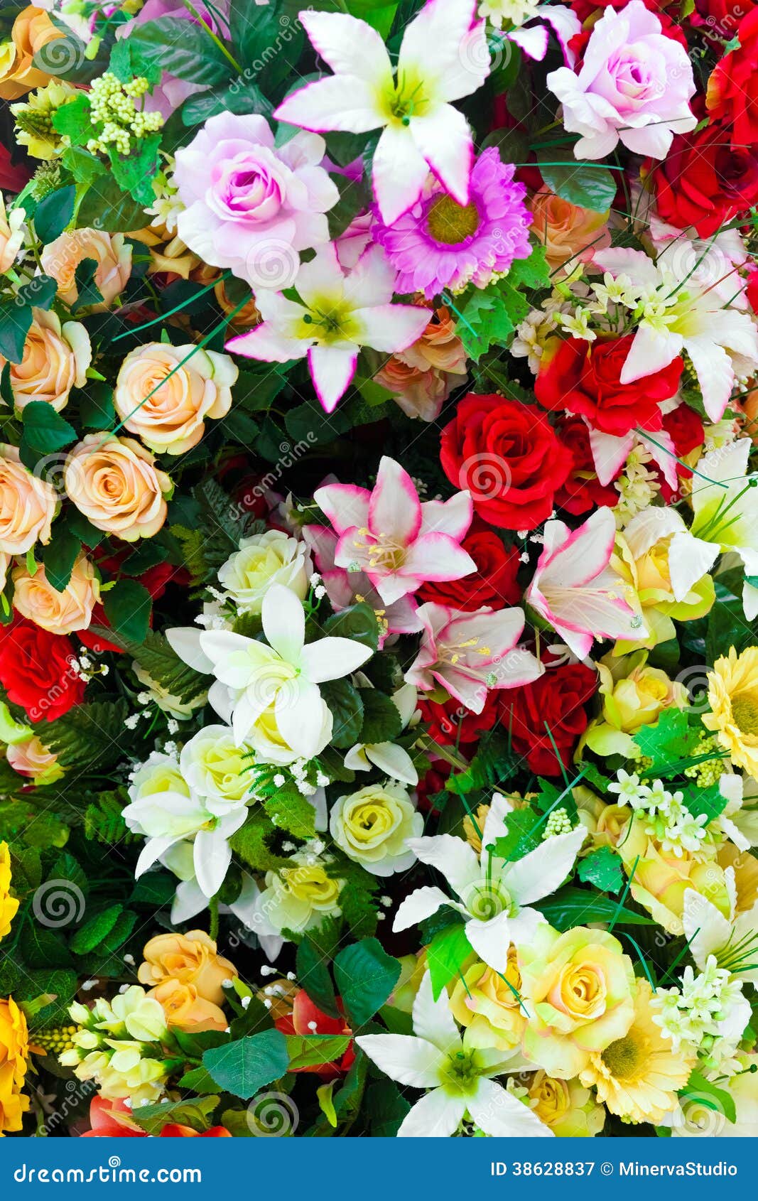 Flowers composition stock image. Image of houseplant - 38628837