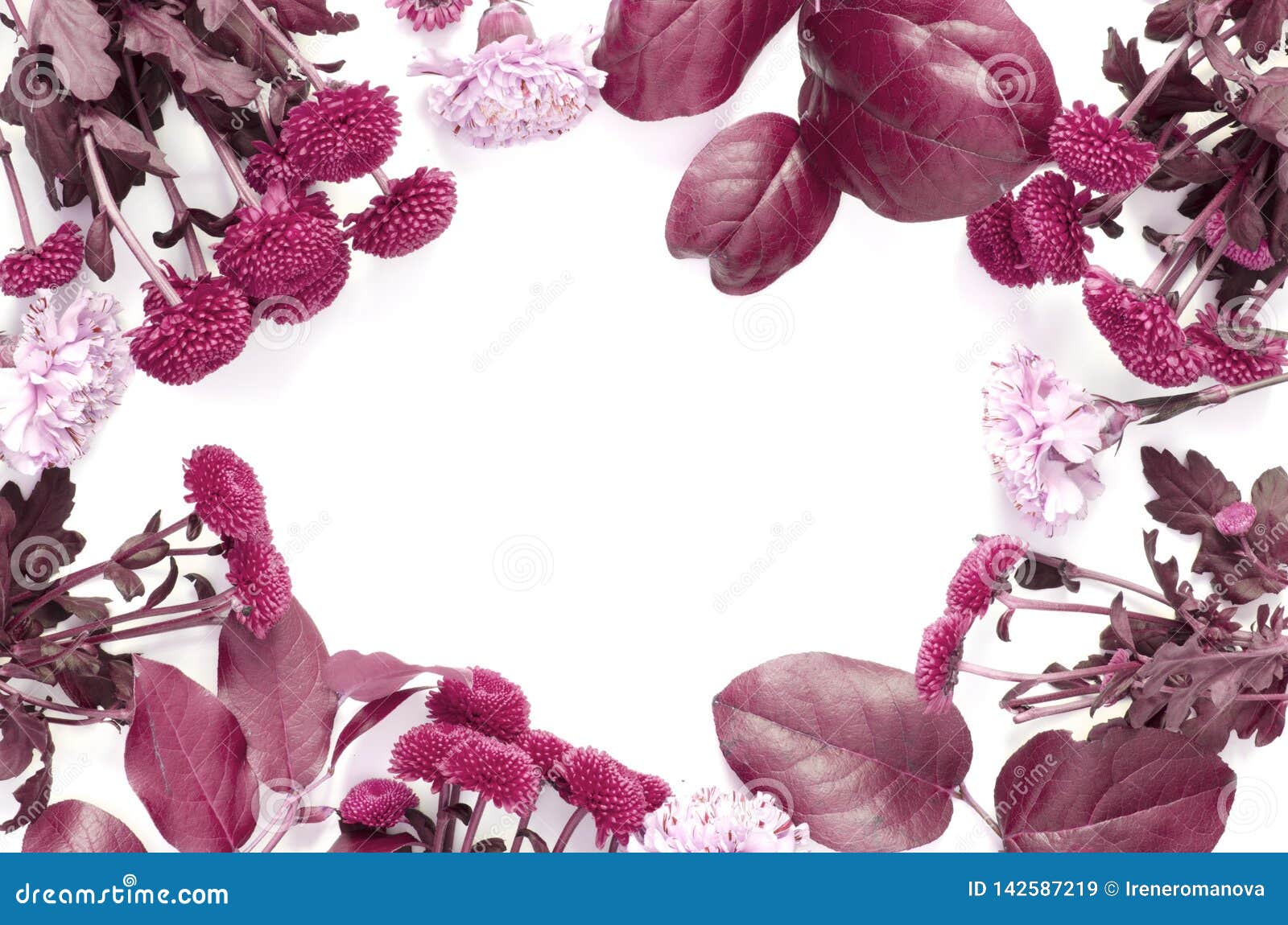Flowers Composition. Frame Made of Flowers and Leaves on White ...