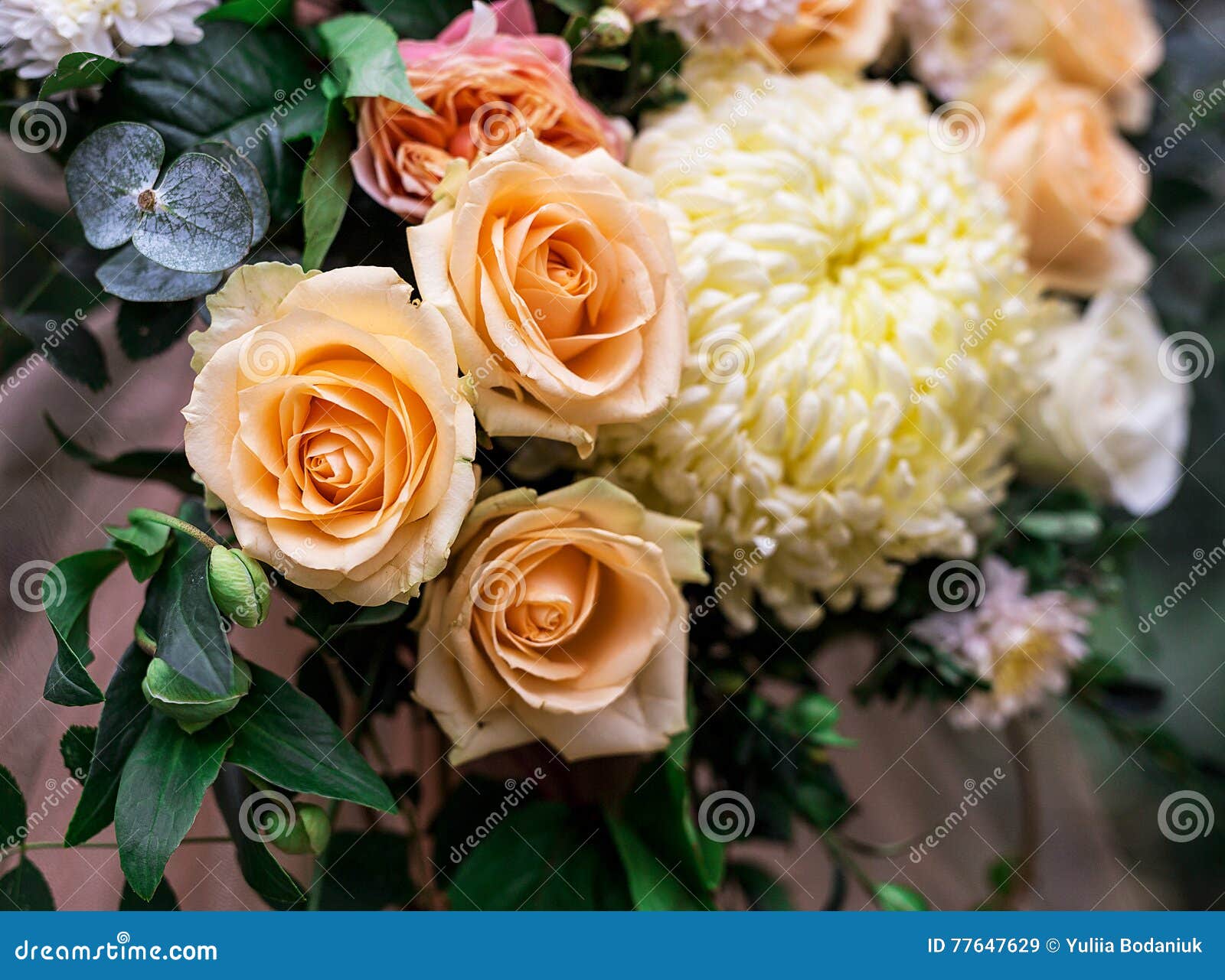 152 Compositions Arrange Stock Photos - Free & Royalty-Free Stock ...