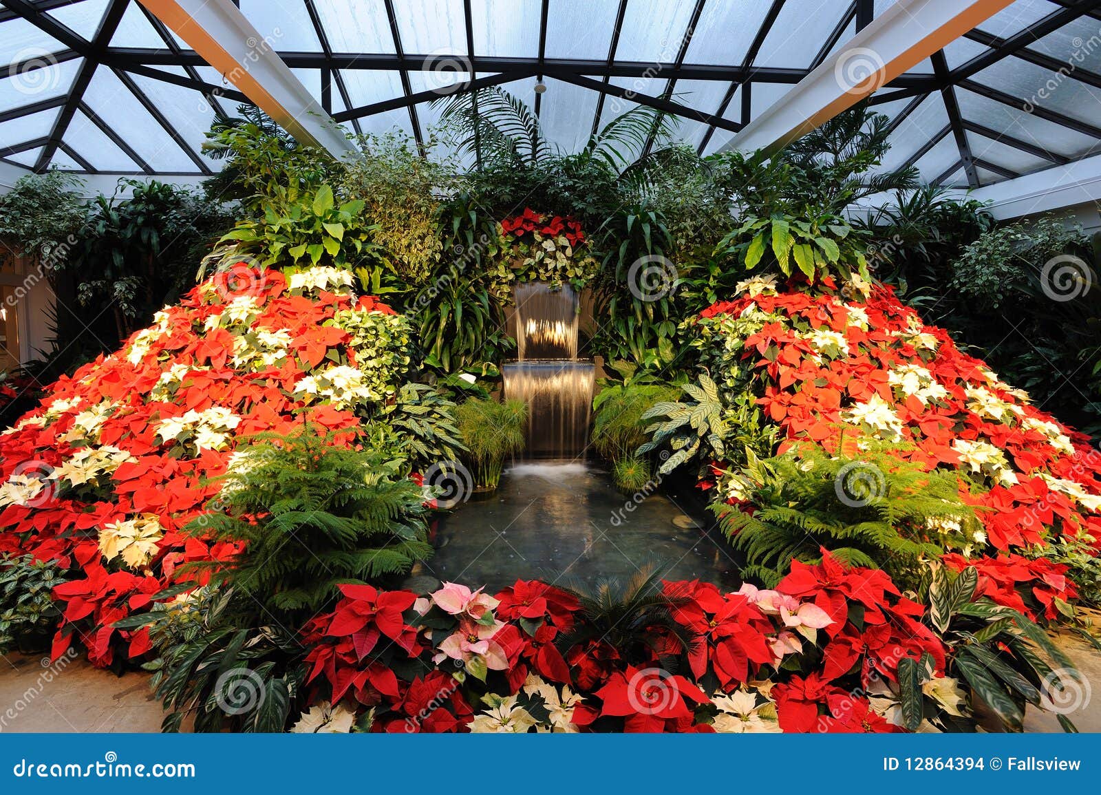 Flowers in conservatory stock photo. Image of florid - 12864394