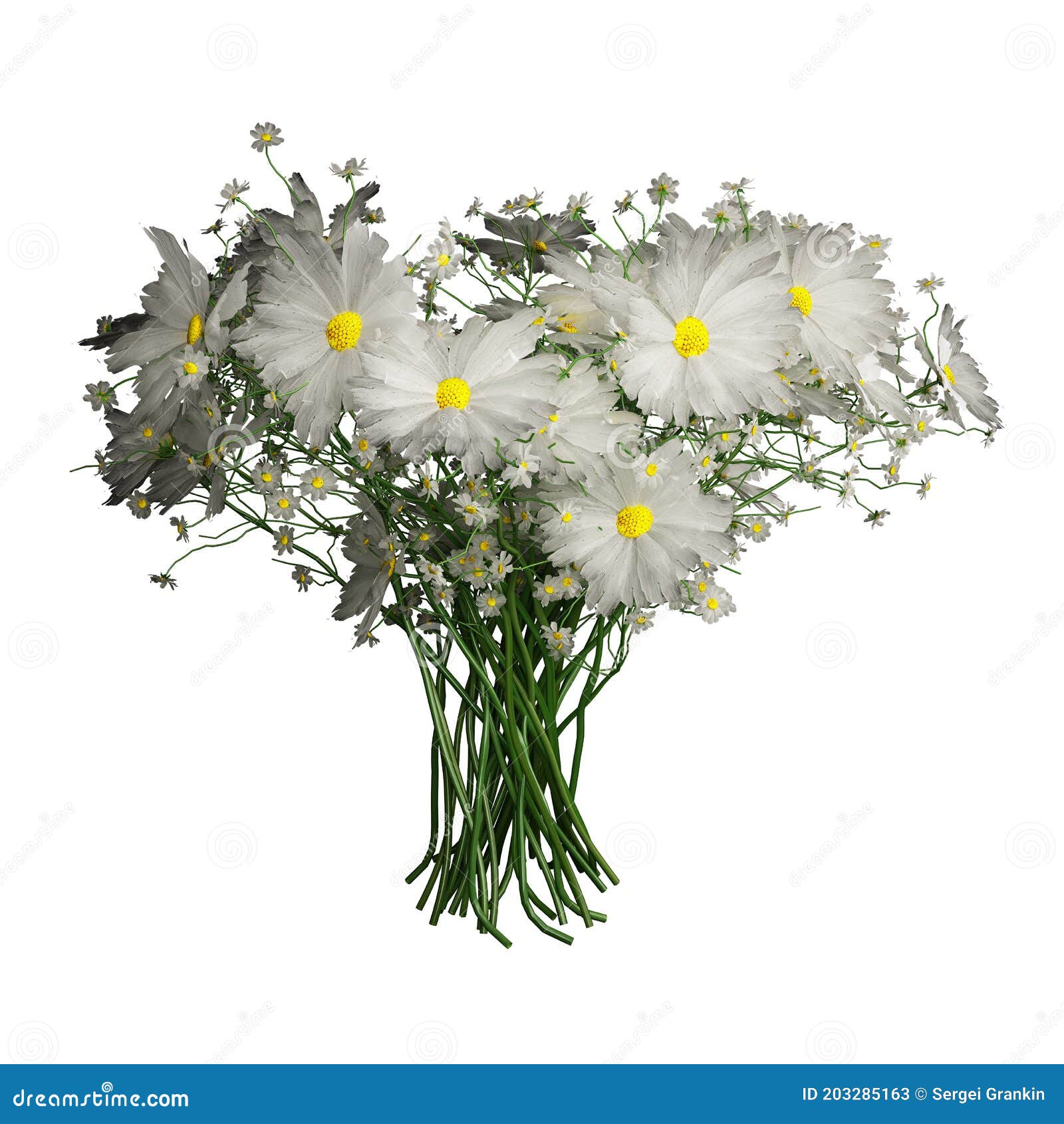 Flowers 3d Illustration Isolated on the White Background Stock ...