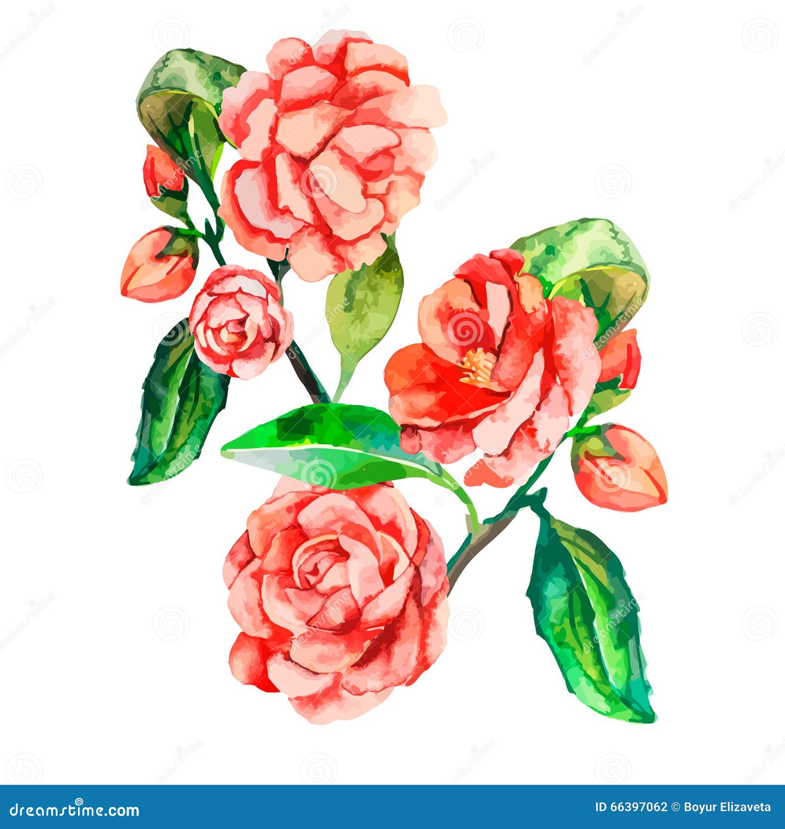 Flowers Decorative. Vector Realistic Flower. Stock Vector ...