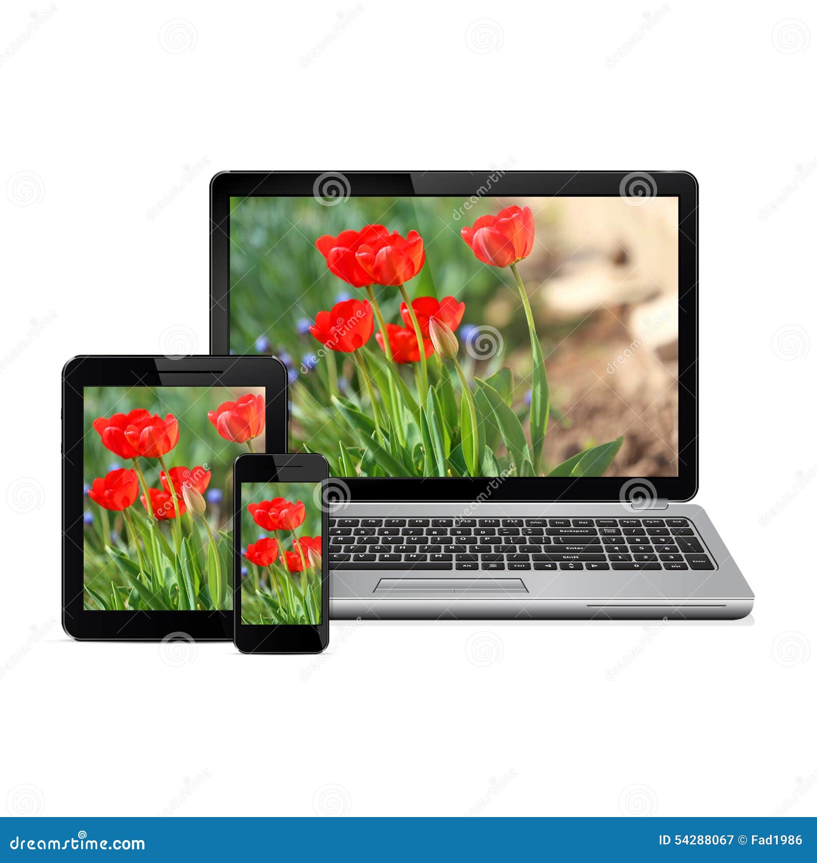 Flowers on Display of Modern Digital Devices Stock Image - Image of ...