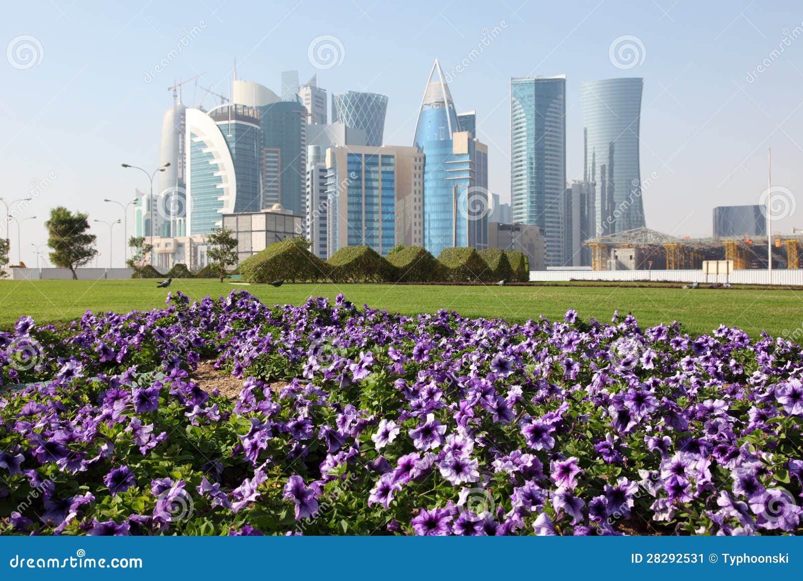 Flowers in Doha Downtown, Qatar Stock Image - Image of west, modern: 28292531