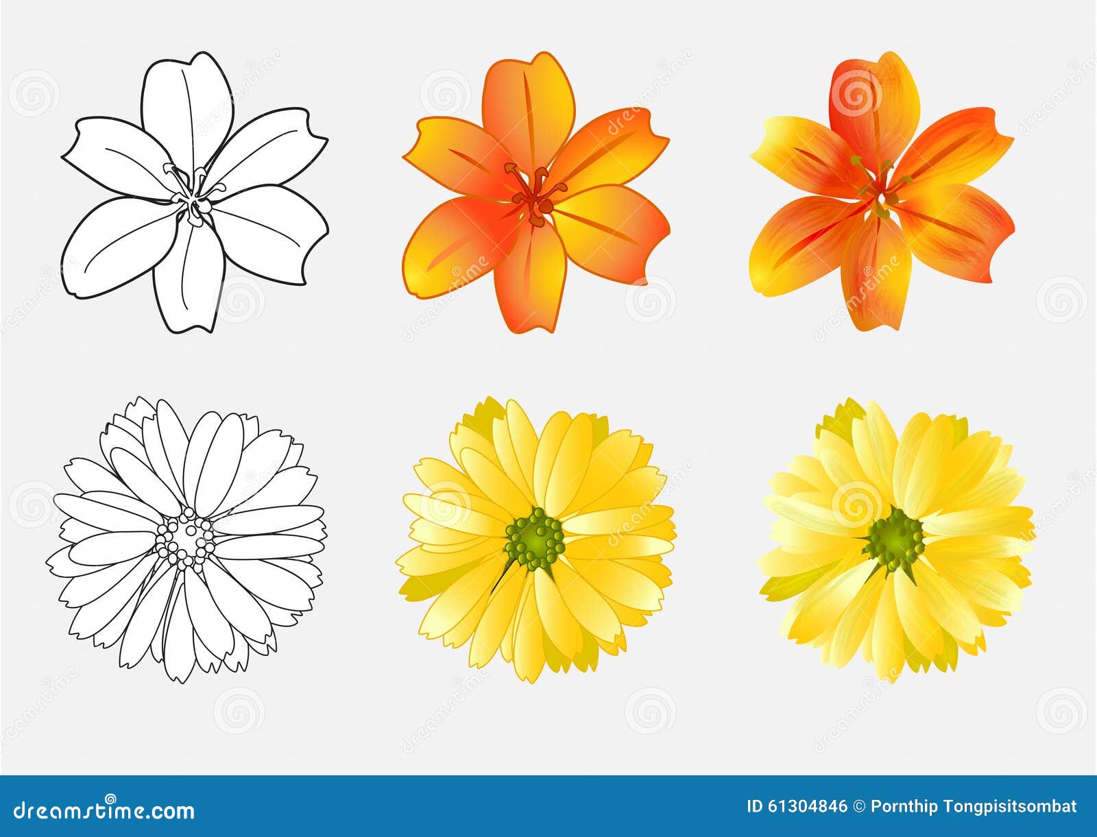 Flowers Draft and Color, Illustration Stock Illustration - Illustration ...