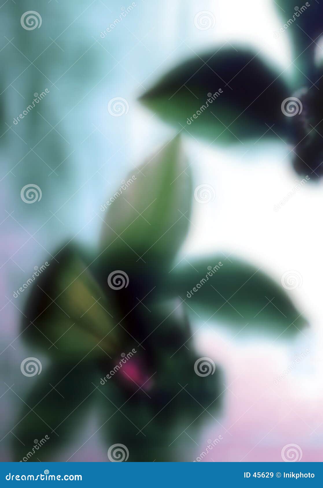 Flowers in Dream Time stock image. Image of flowers, float - 45629
