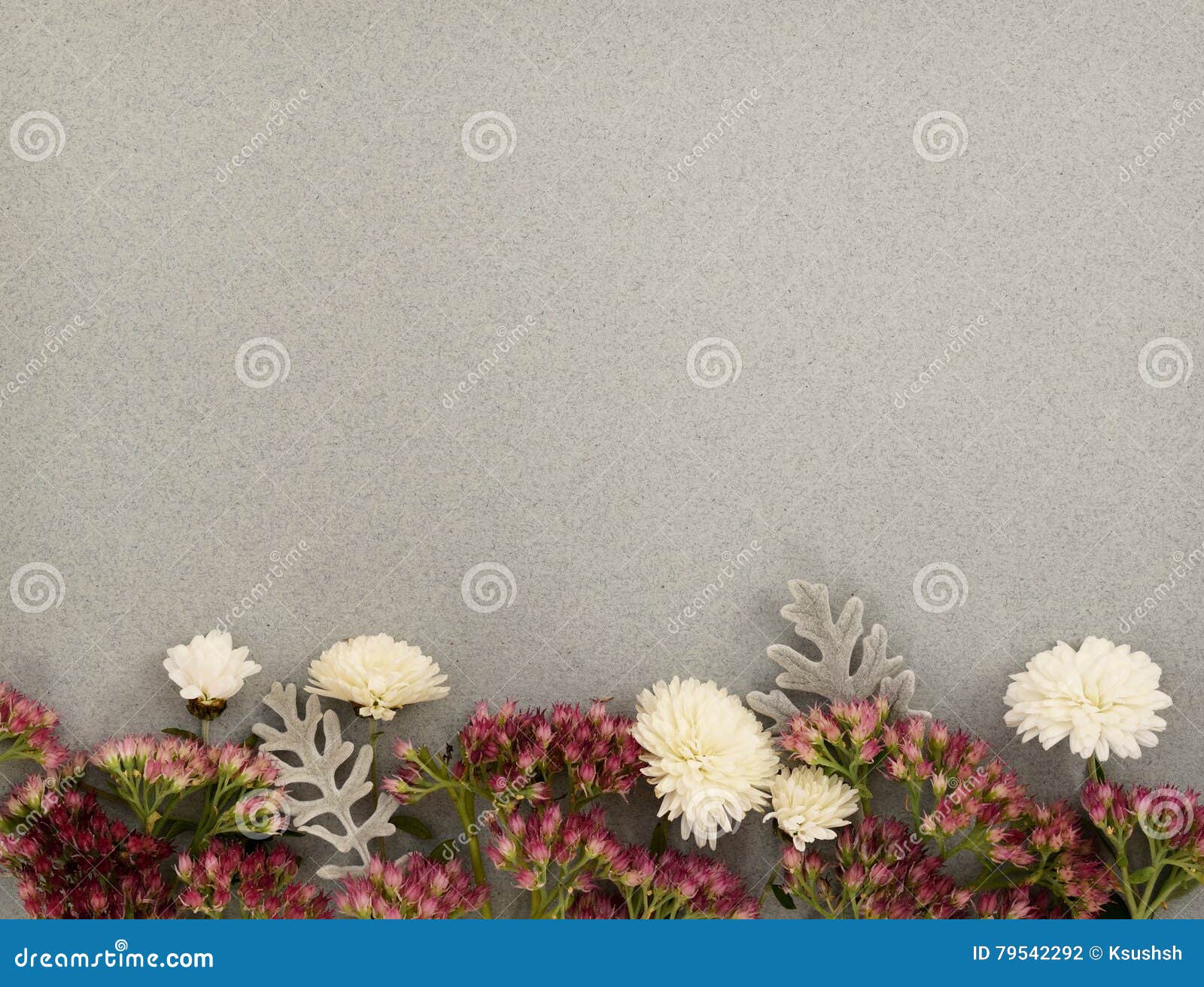 Flowers edge on gray paper stock photo. Image of fall - 79542292