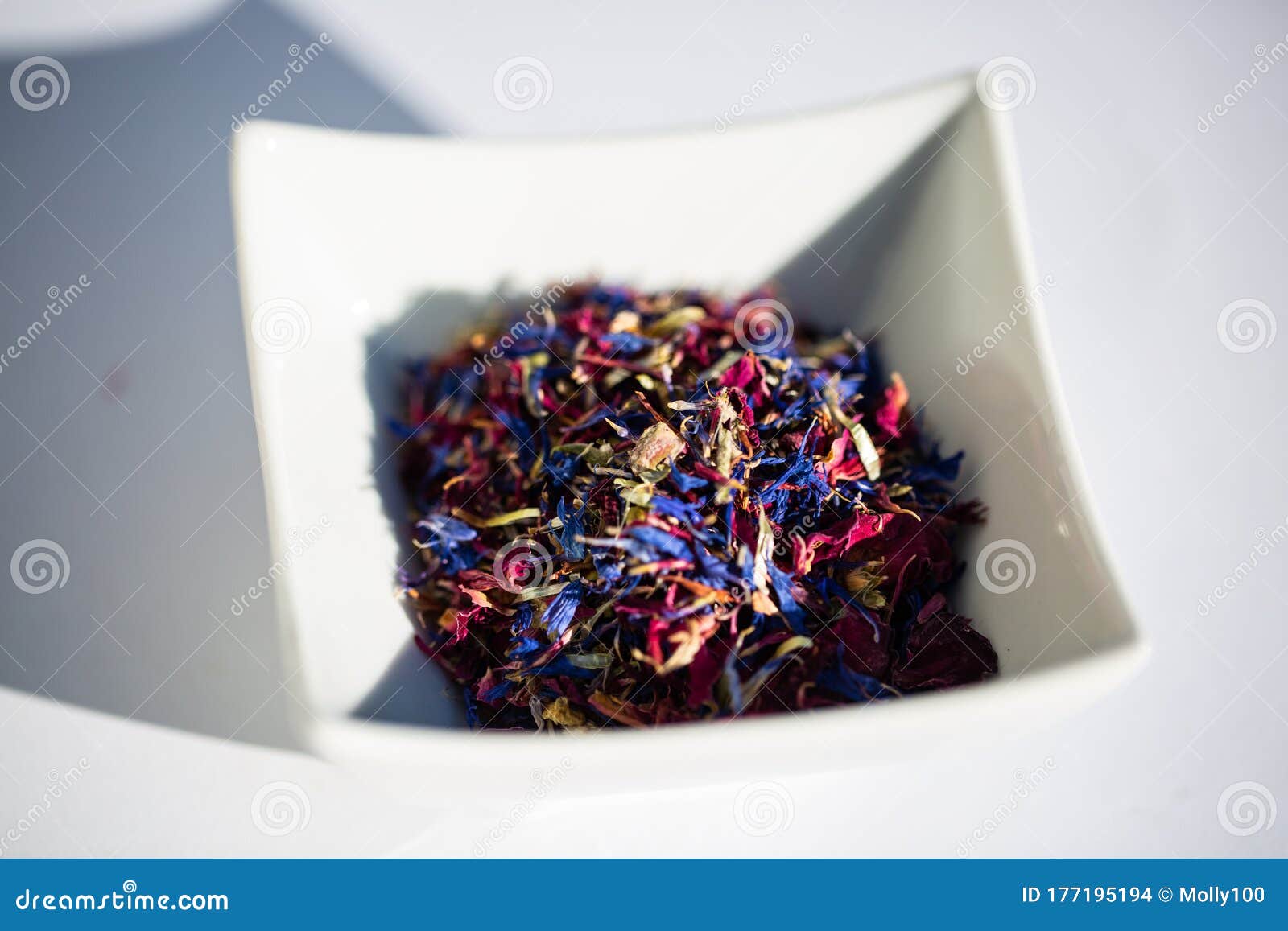 Flowers, Edible Flowers on a White Background Stock Photo - Image of ...