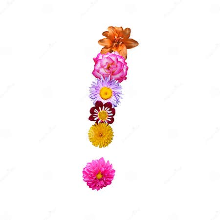 Flowers Exclamation Point stock illustration. Illustration of leaf ...