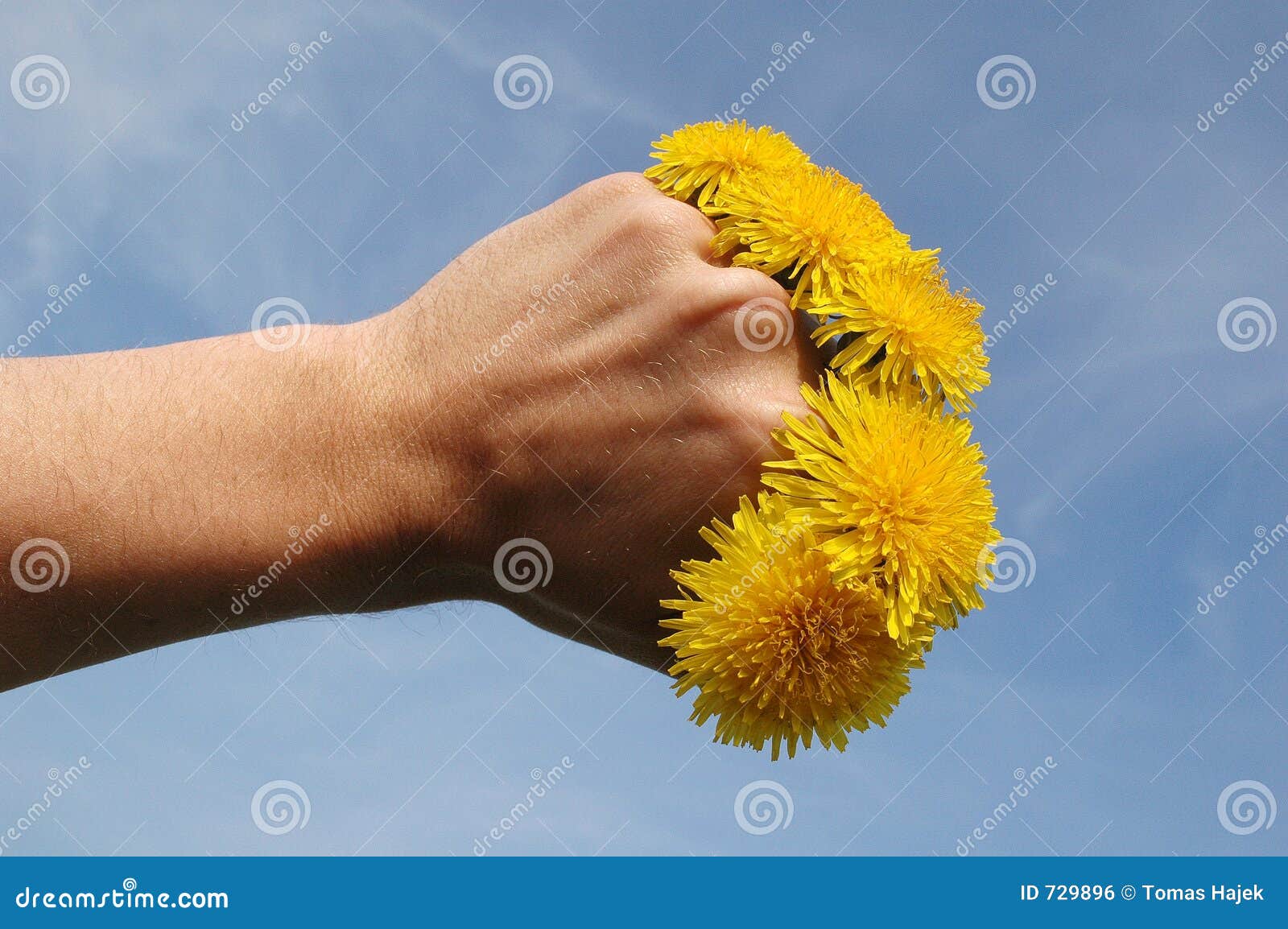 Flowers Fist Picture. Image: 729896