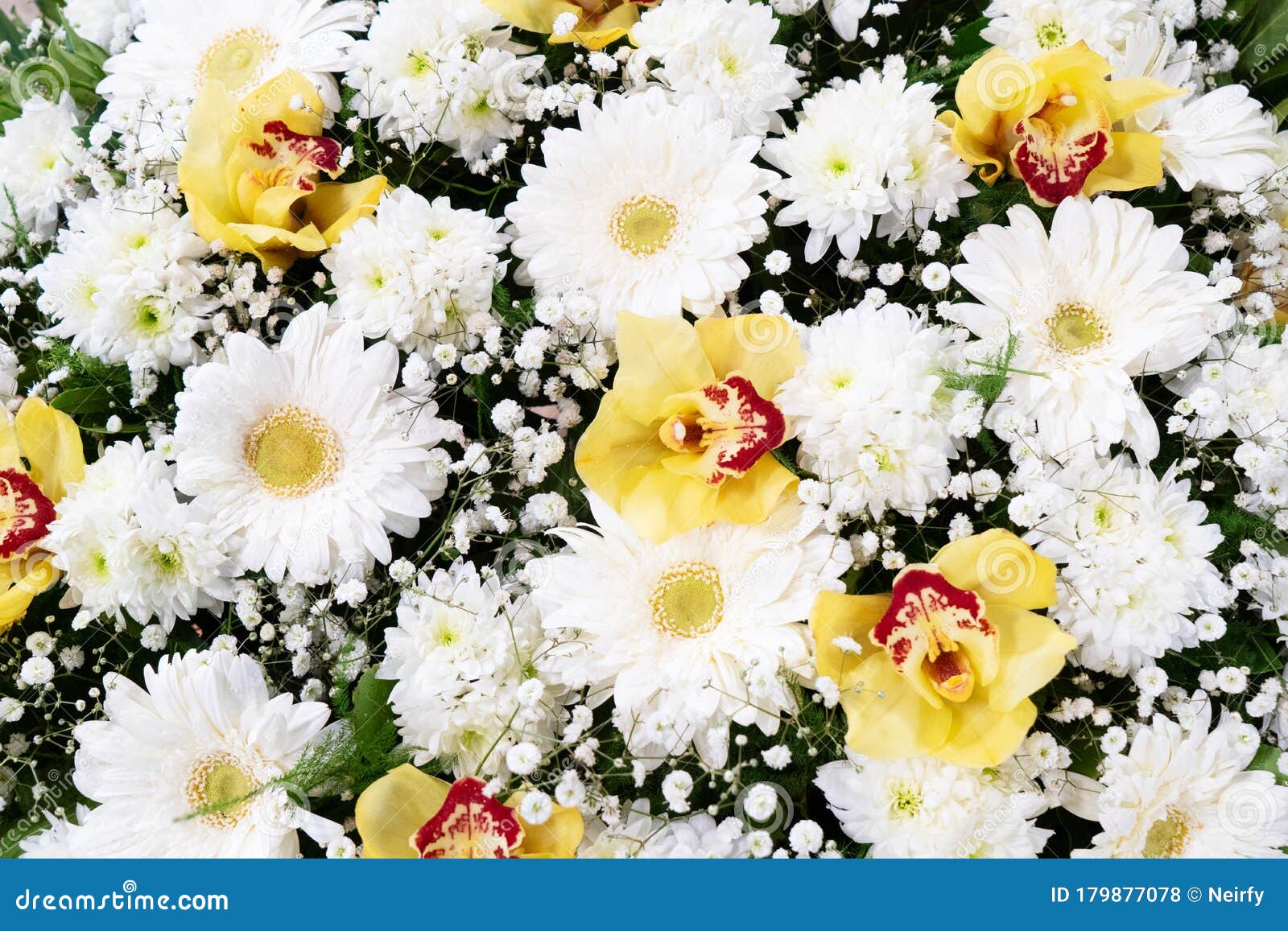 Flowers Flat Lay Composition Stock Photo - Image of background ...