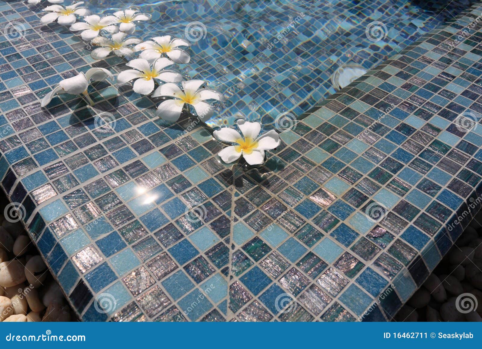 Flowers Floating in Swimming Pool Stock Image - Image of floating, care ...