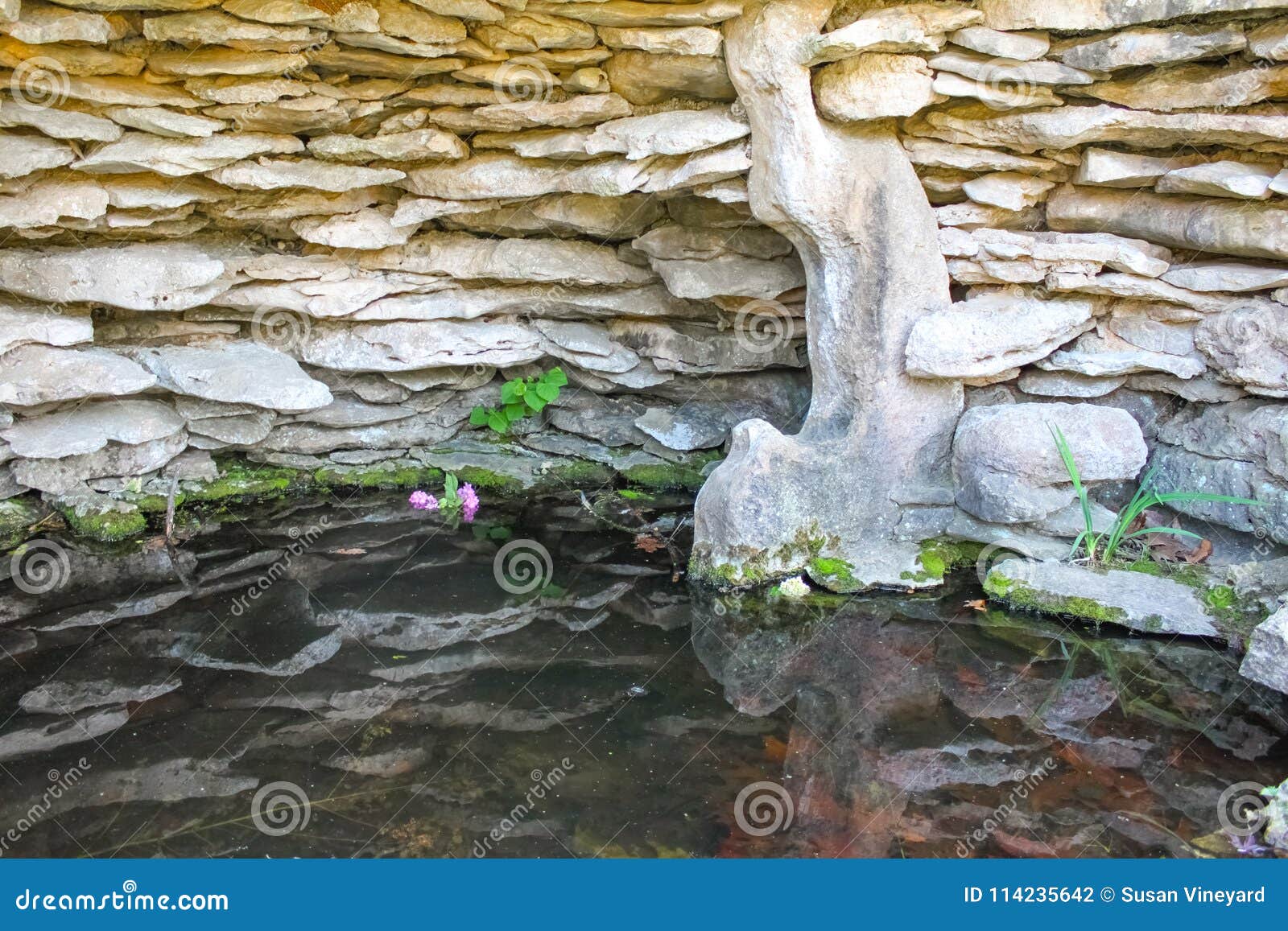Flowers Floating in Water Inside a Stone Grotto with Stone Walls ...