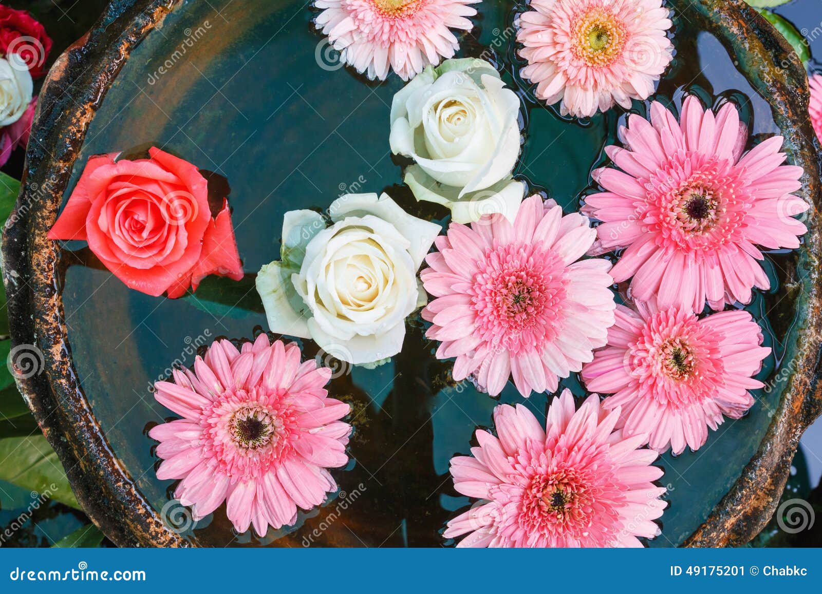 Flowers floating in water stock image. Image of beautiful - 49175201