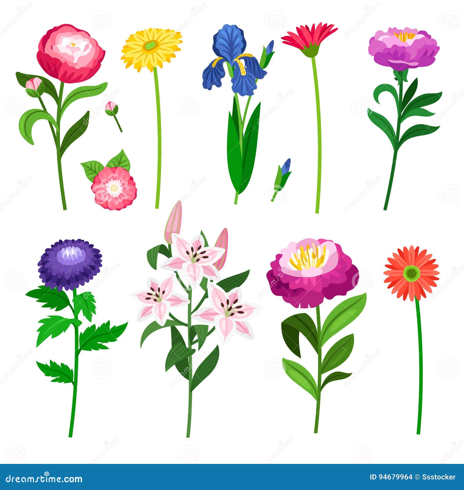Flowers and Floral Elements Collection Stock Vector - Illustration of ...
