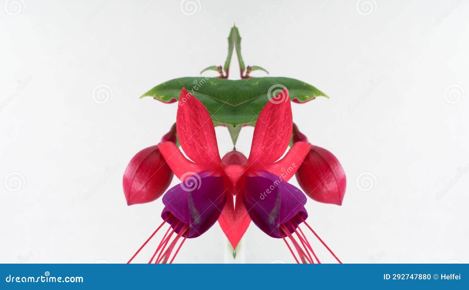 Flowers and Flower Meadows in Imaginative Processing, Romantically and ...