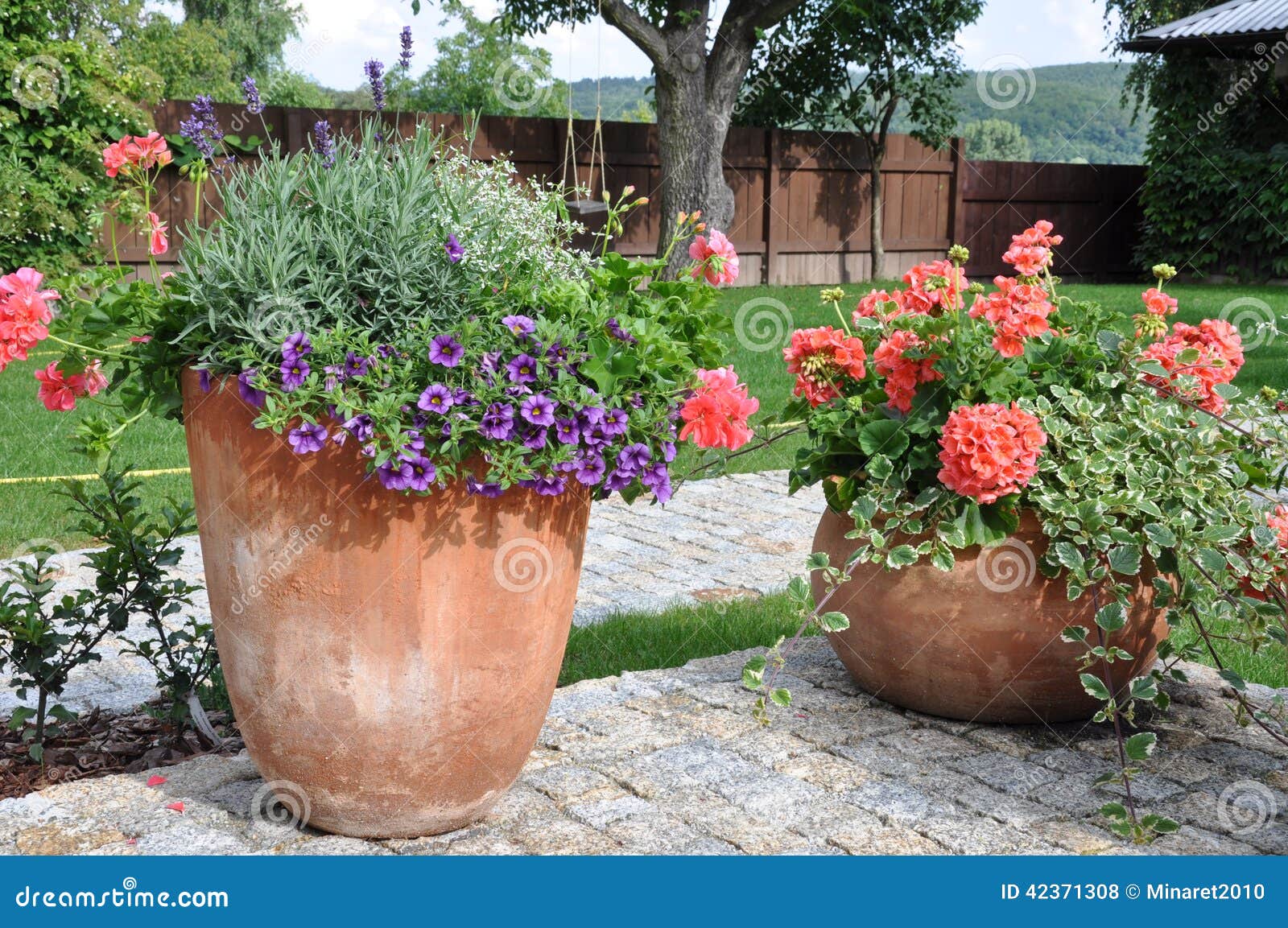 Flowers in flower pot stock photo. Image of garden, country - 42371308