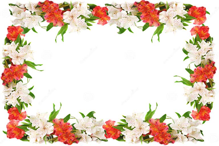 Flowers frame. stock image. Image of gift, lily, flower - 12720639