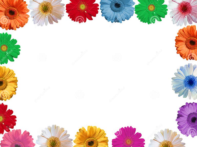 Flowers frame stock photo. Image of flowers, colorful - 5511564