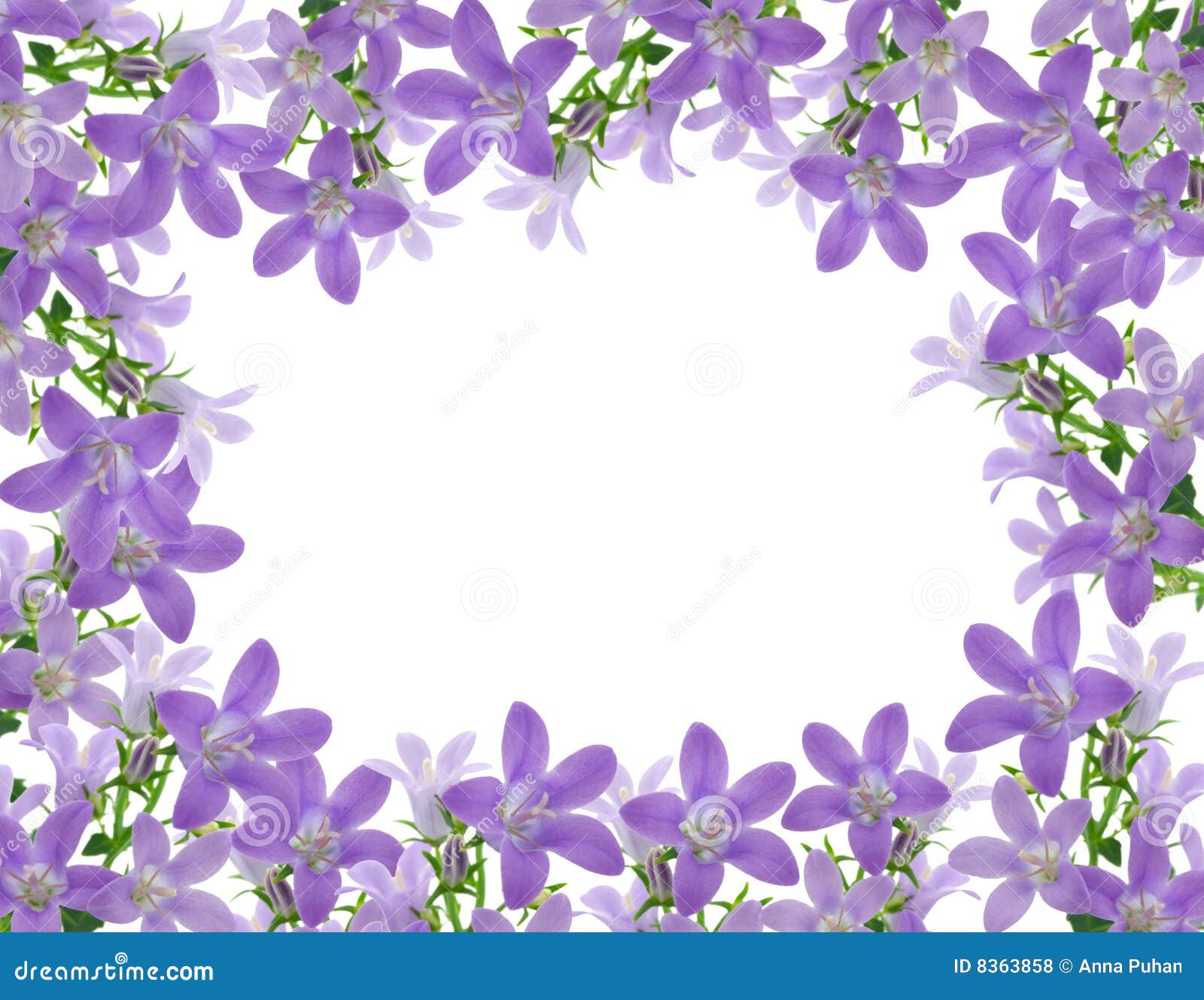 Flowers frame stock photo. Image of decorative, pattern - 8363858