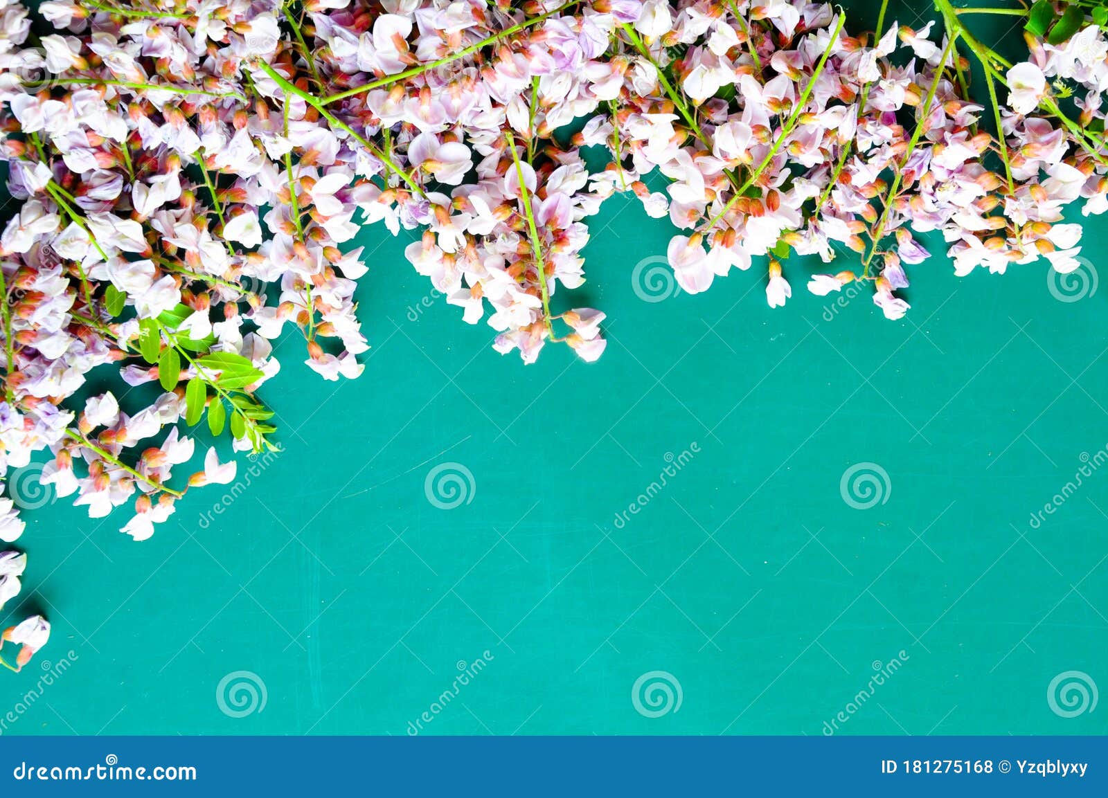 Flowers Frame on Blank Board Background Stock Photo - Image of mother ...