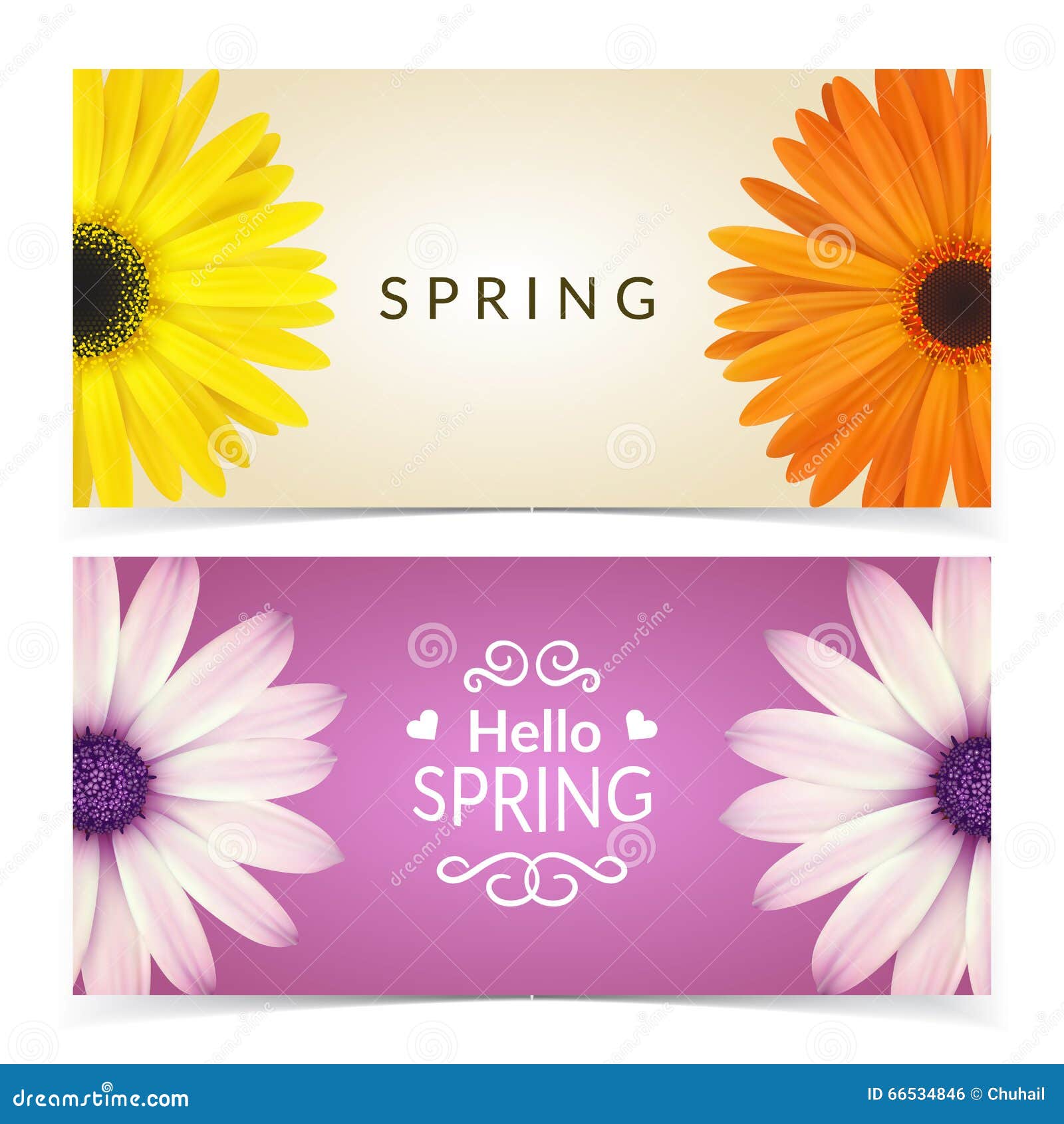Flowers and Frame for Text. Stock Vector - Illustration of greeting ...