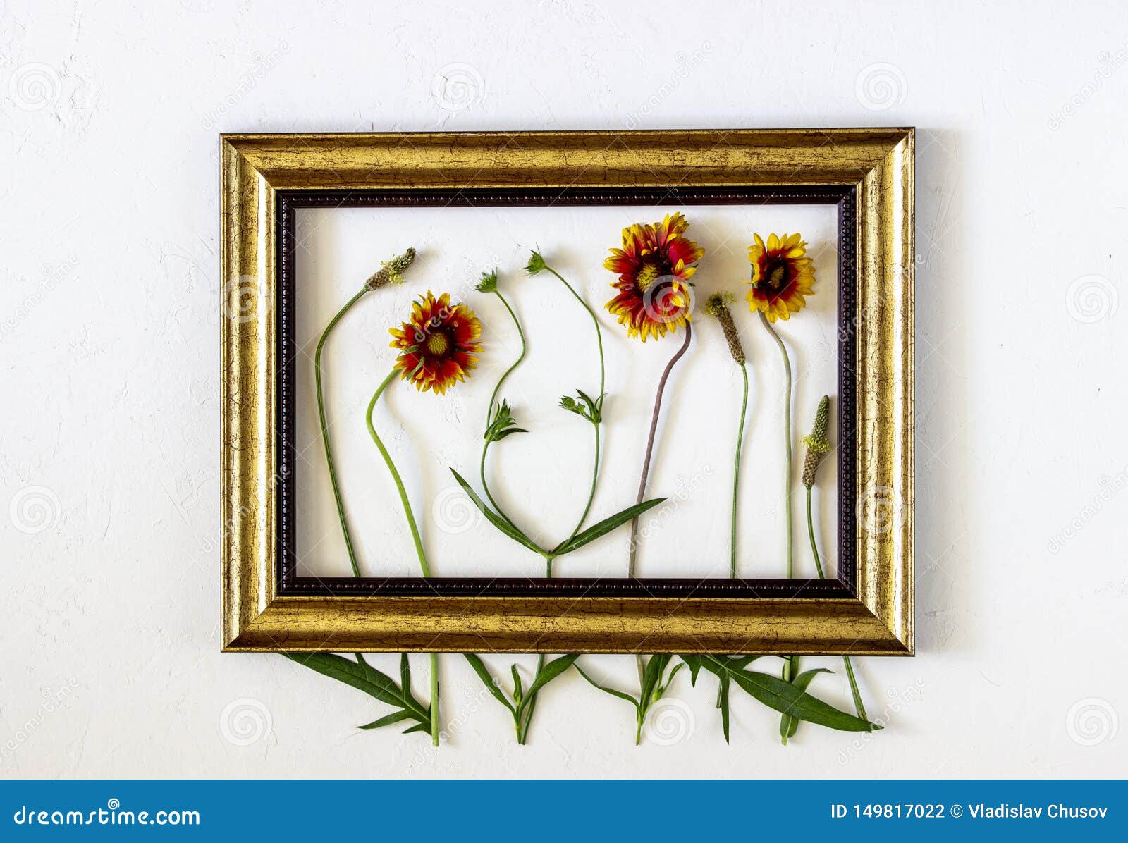 Flowers in the Frame on a White Background. Minimal Concept. Creative ...