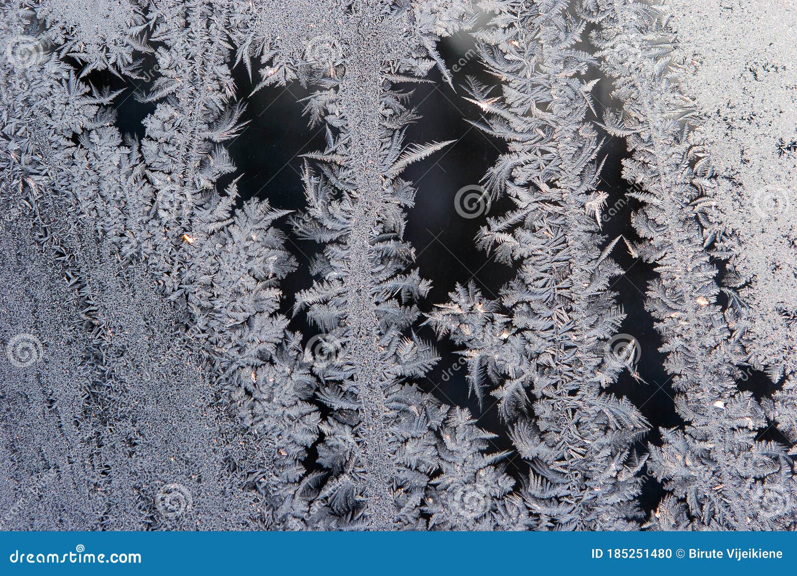 Flowers of the frost stock photo. Image of season, window - 185251480