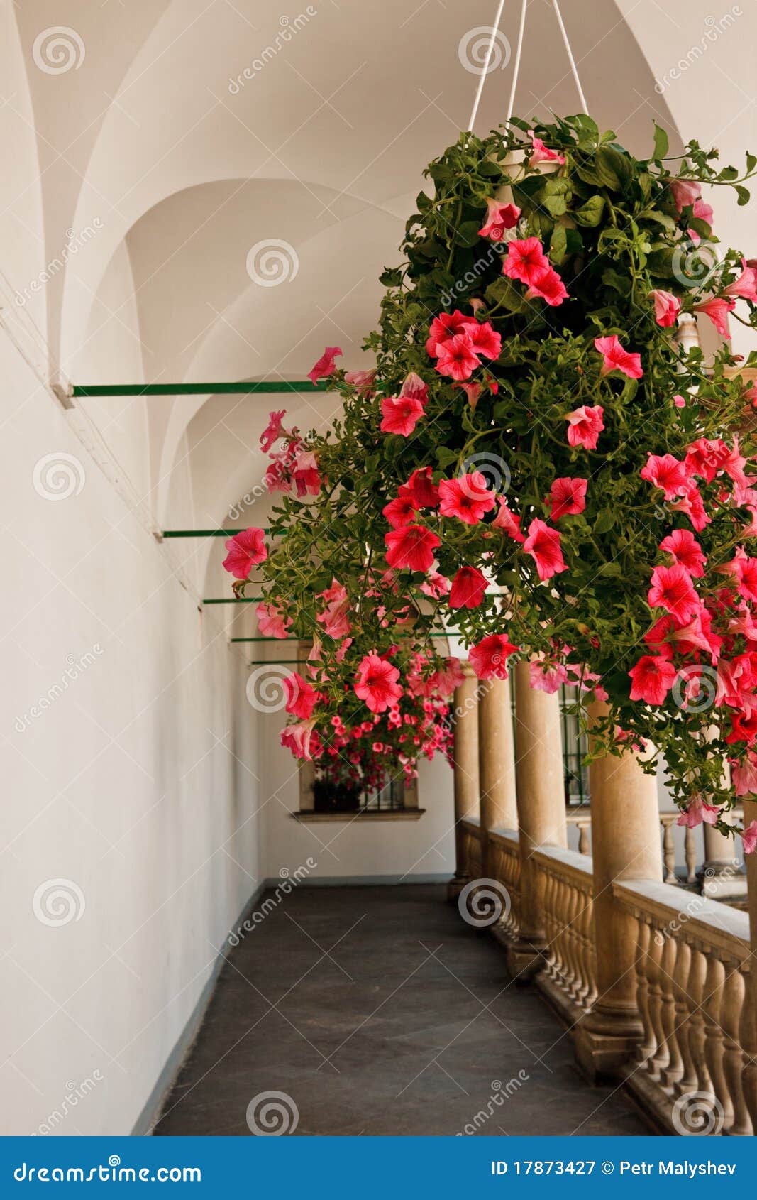 Flowers in gallery stock image. Image of arch, interior - 17873427
