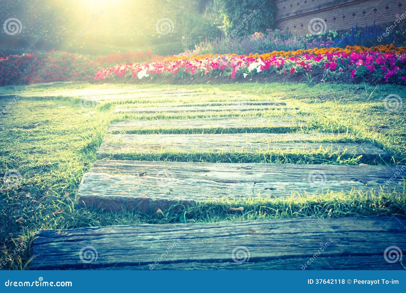 Flowers Garden,vintage Style Light. Stock Photo - Image of bloom, light ...