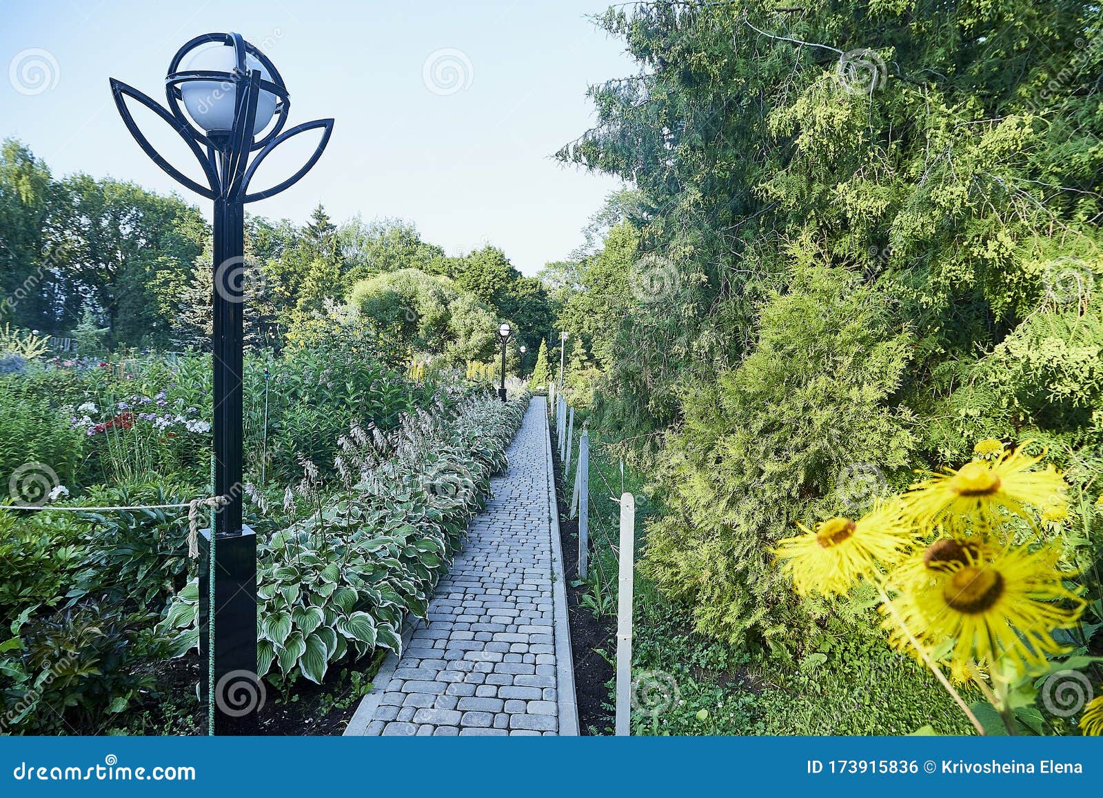 Flowers, Grass, Greenery and a Path in a Beautiful Garden Stock Photo ...