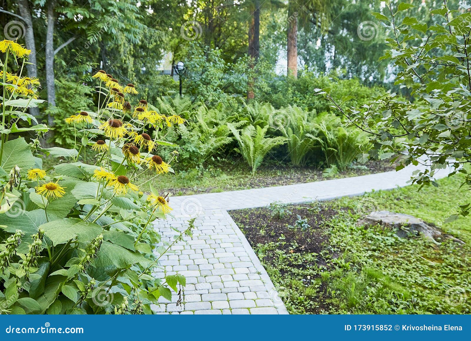 Flowers, Grass, Greenery and a Path in a Beautiful Garden Stock Photo ...