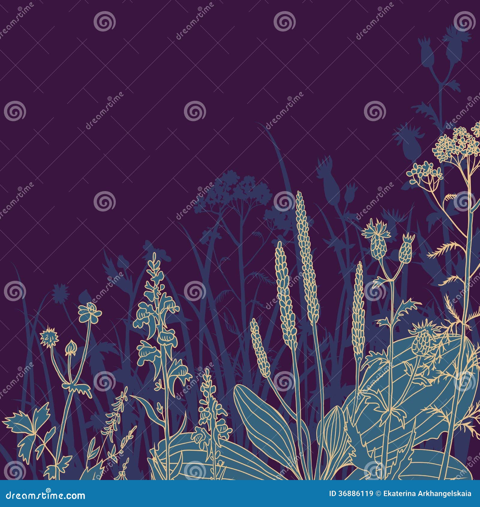 Flowers and grass at night stock vector. Illustration of grass - 36886119