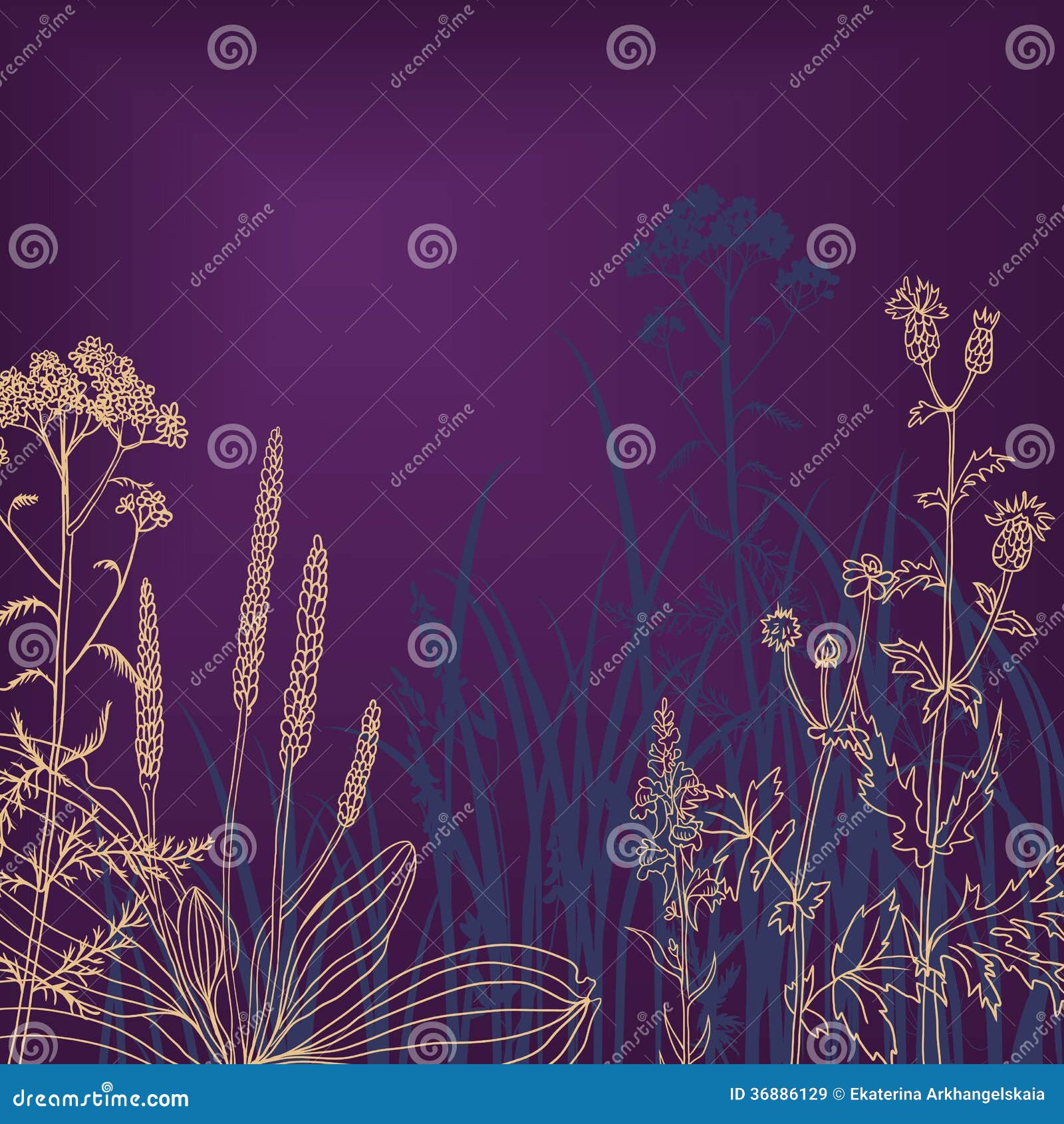 Flowers and grass at night stock vector. Illustration of field - 36886129