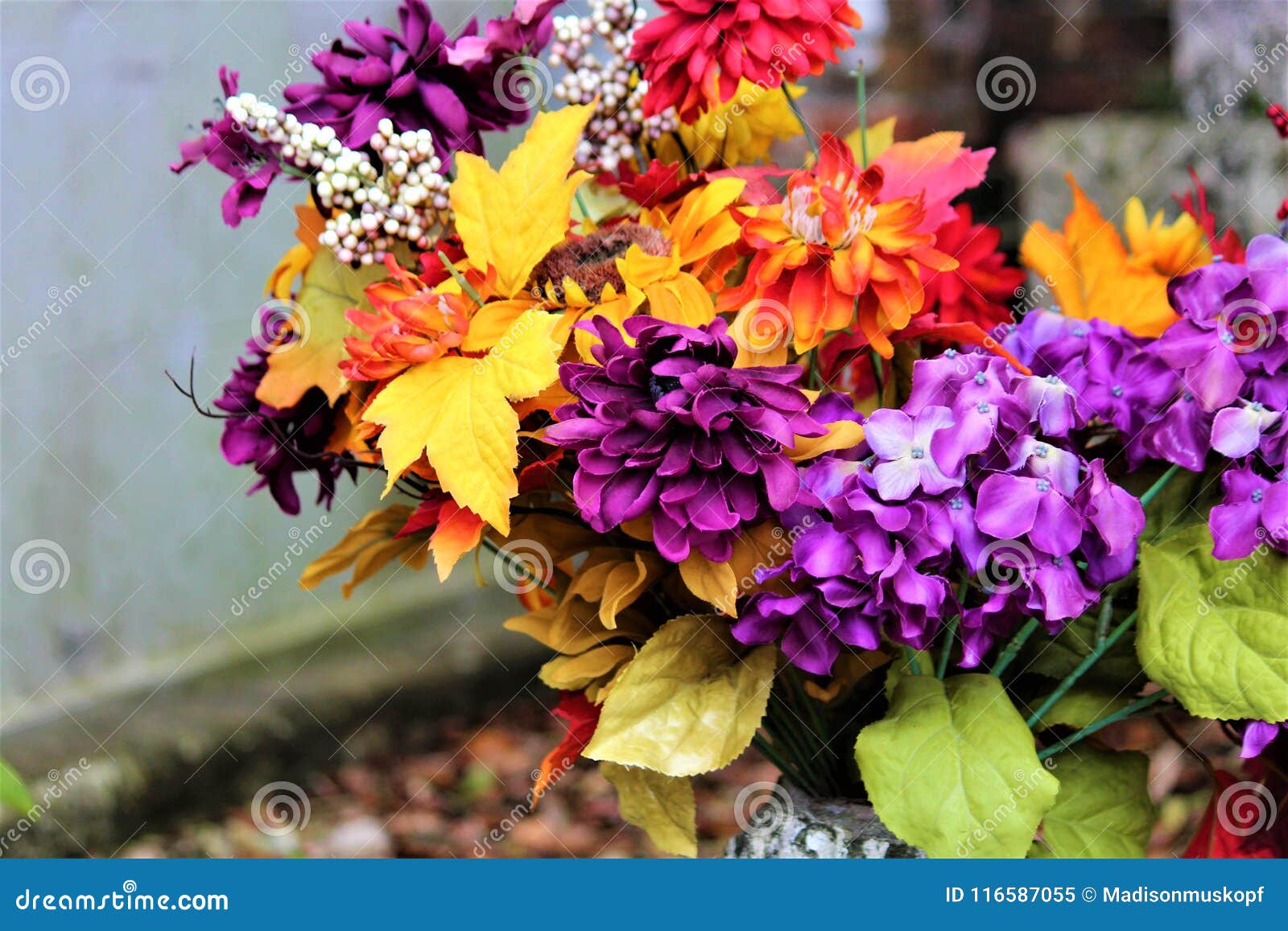 Flowers in a Graveyard stock image. Image of fresh, garden - 116587055