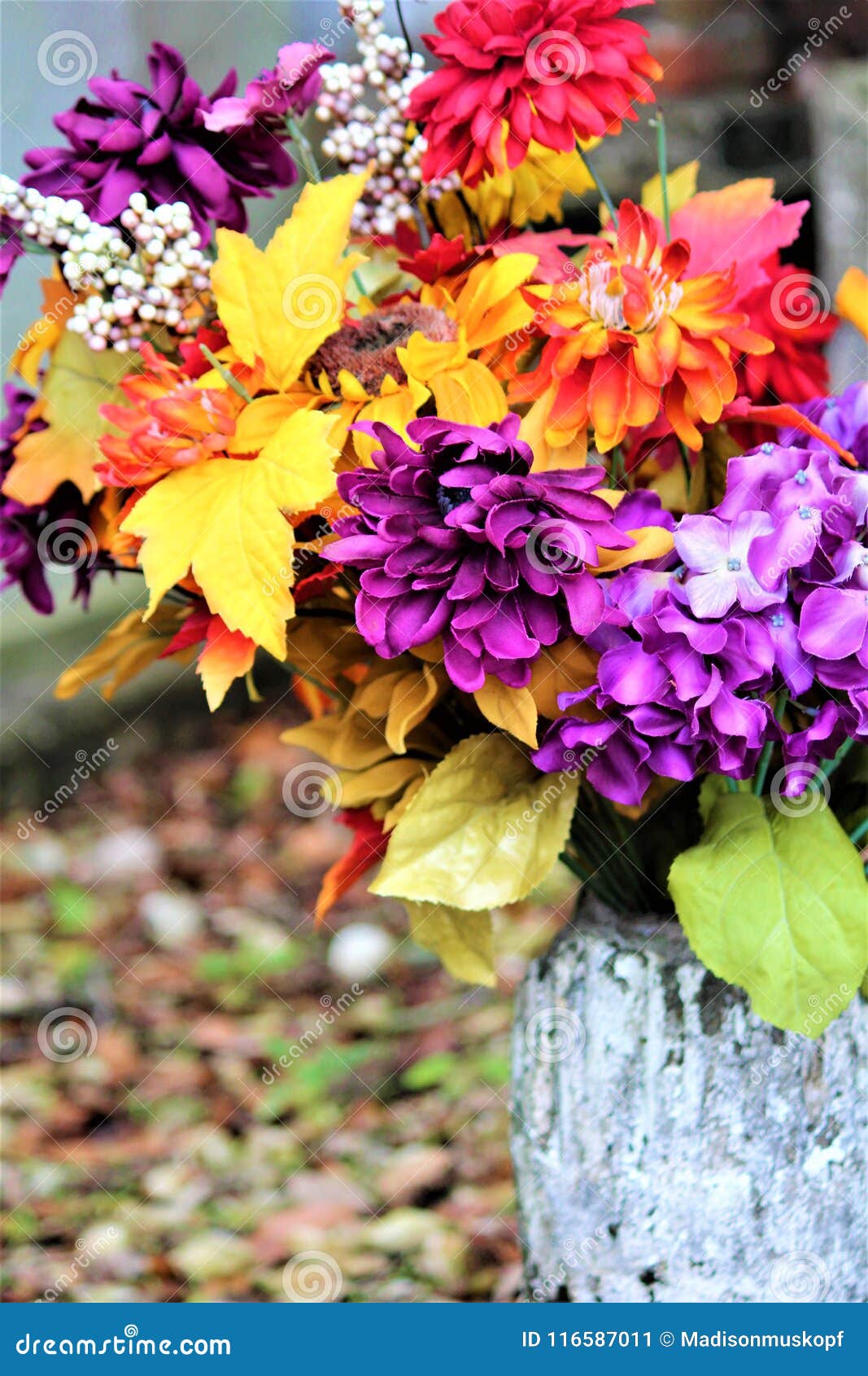Flowers in a Graveyard stock image. Image of beautiful - 116587011