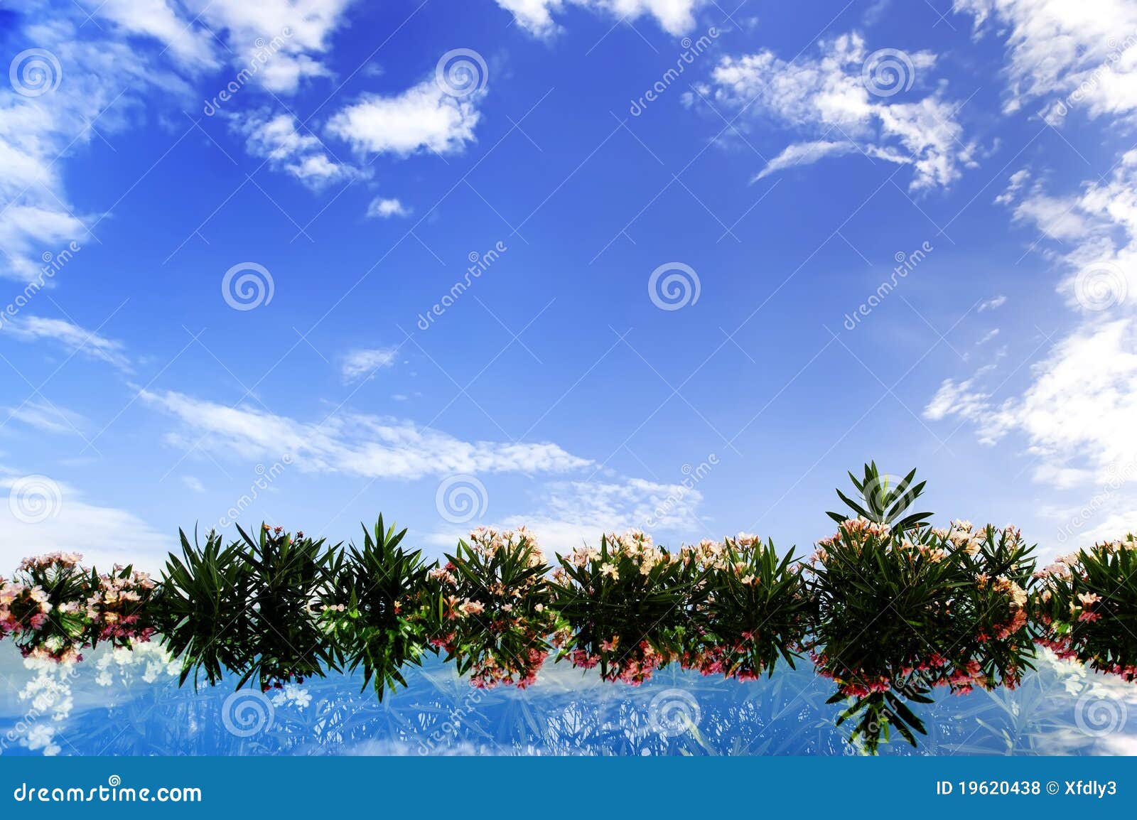 Flowers and Green Leaves and Bright Blue Sky Backg Stock Photo - Image ...