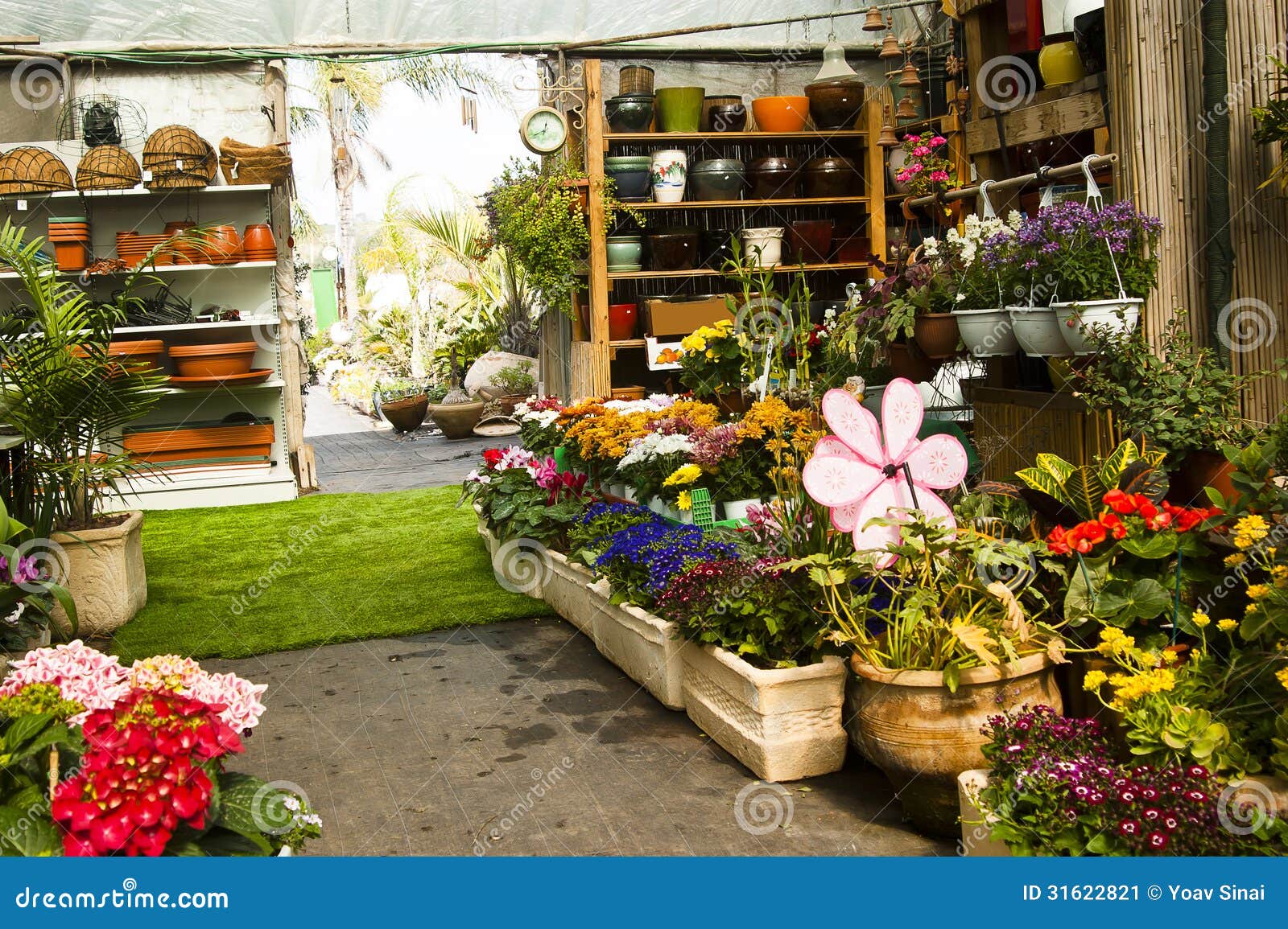 Flowers greenhouse stock image. Image of interior, nature - 31622821