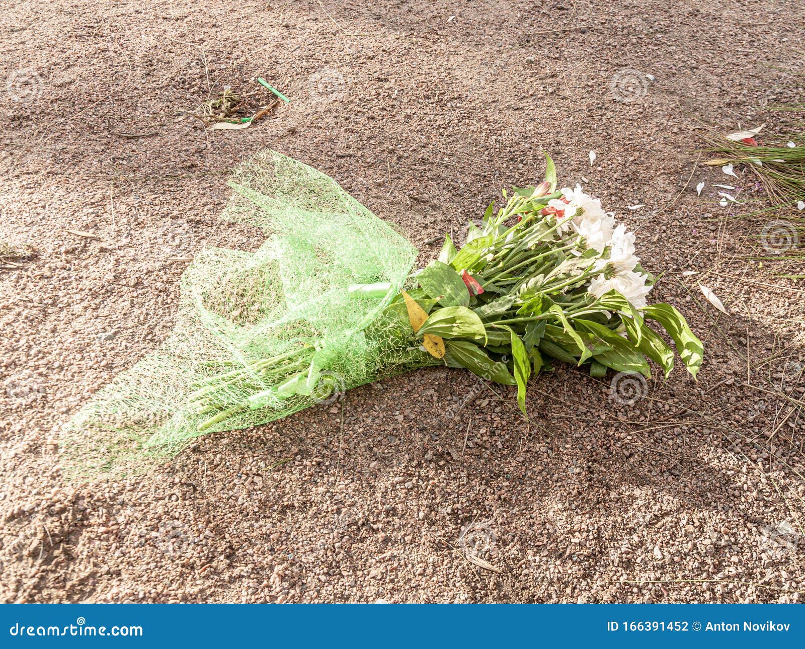 Flowers on the Ground, Discarded Bouquet Stock Photo - Image of autumn ...