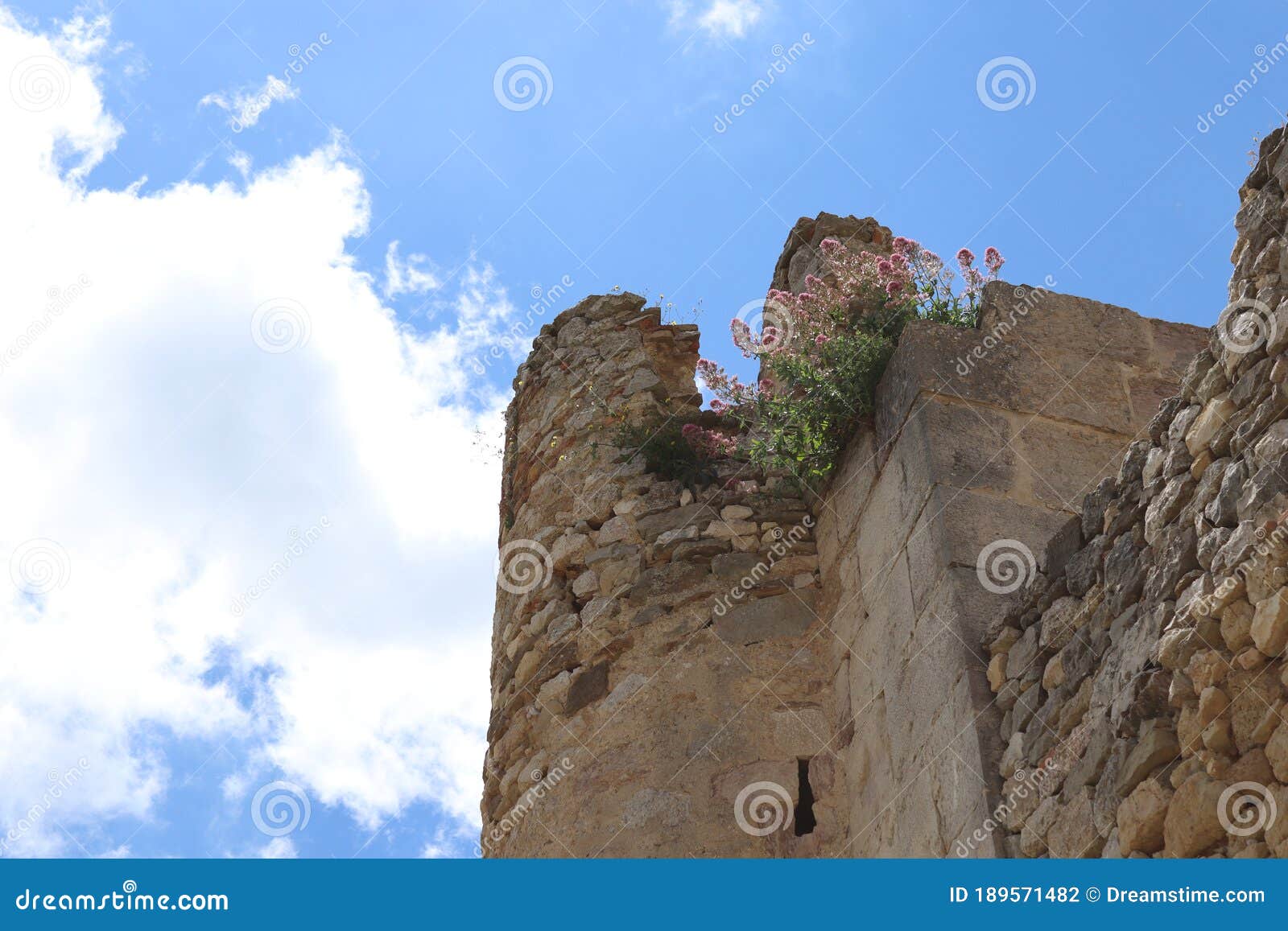 Flowers Grow on a Castle Tower Stock Photo - Image of medieval ...