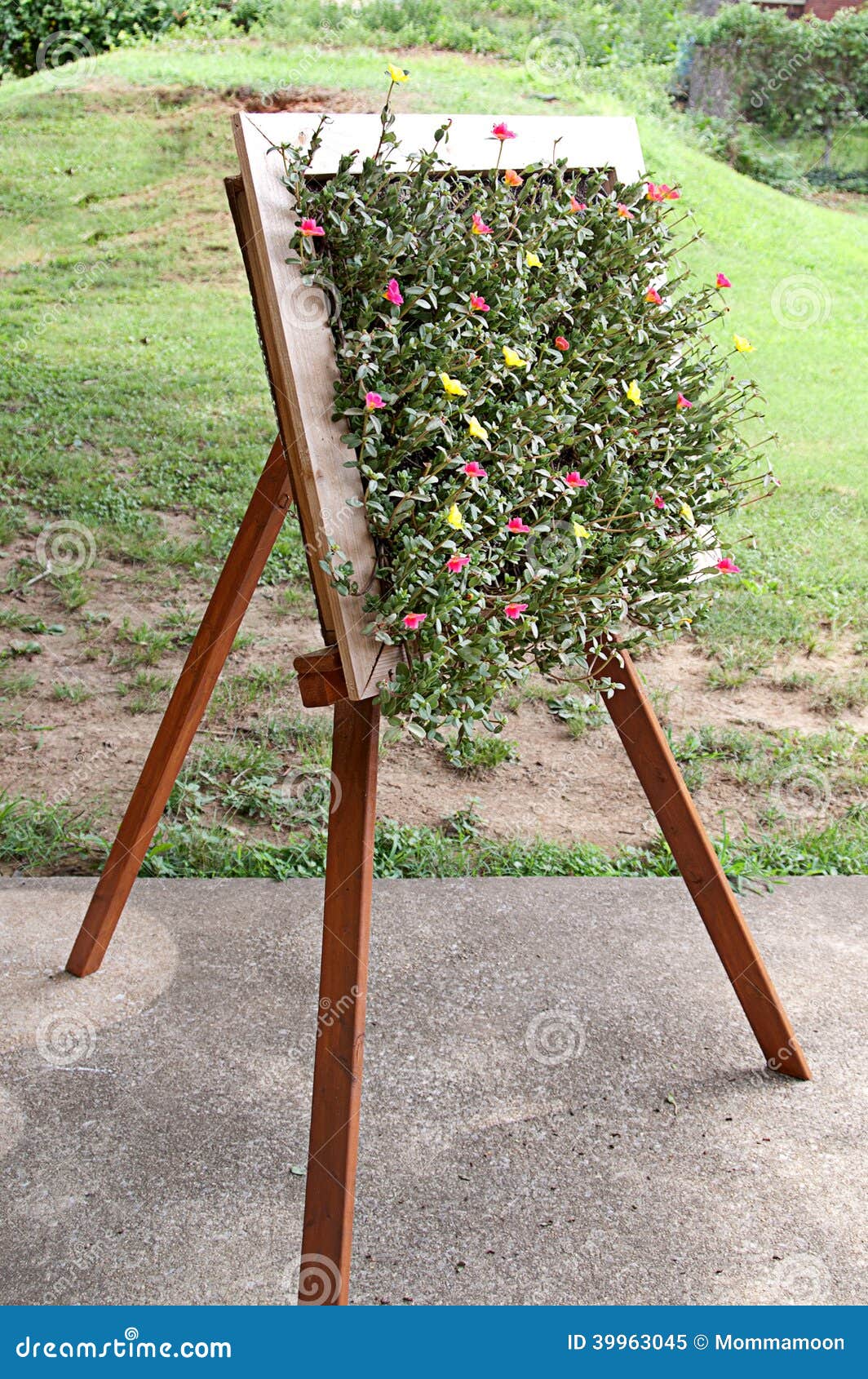 Flowers Growing on Easel stock image. Image of wooden - 39963045