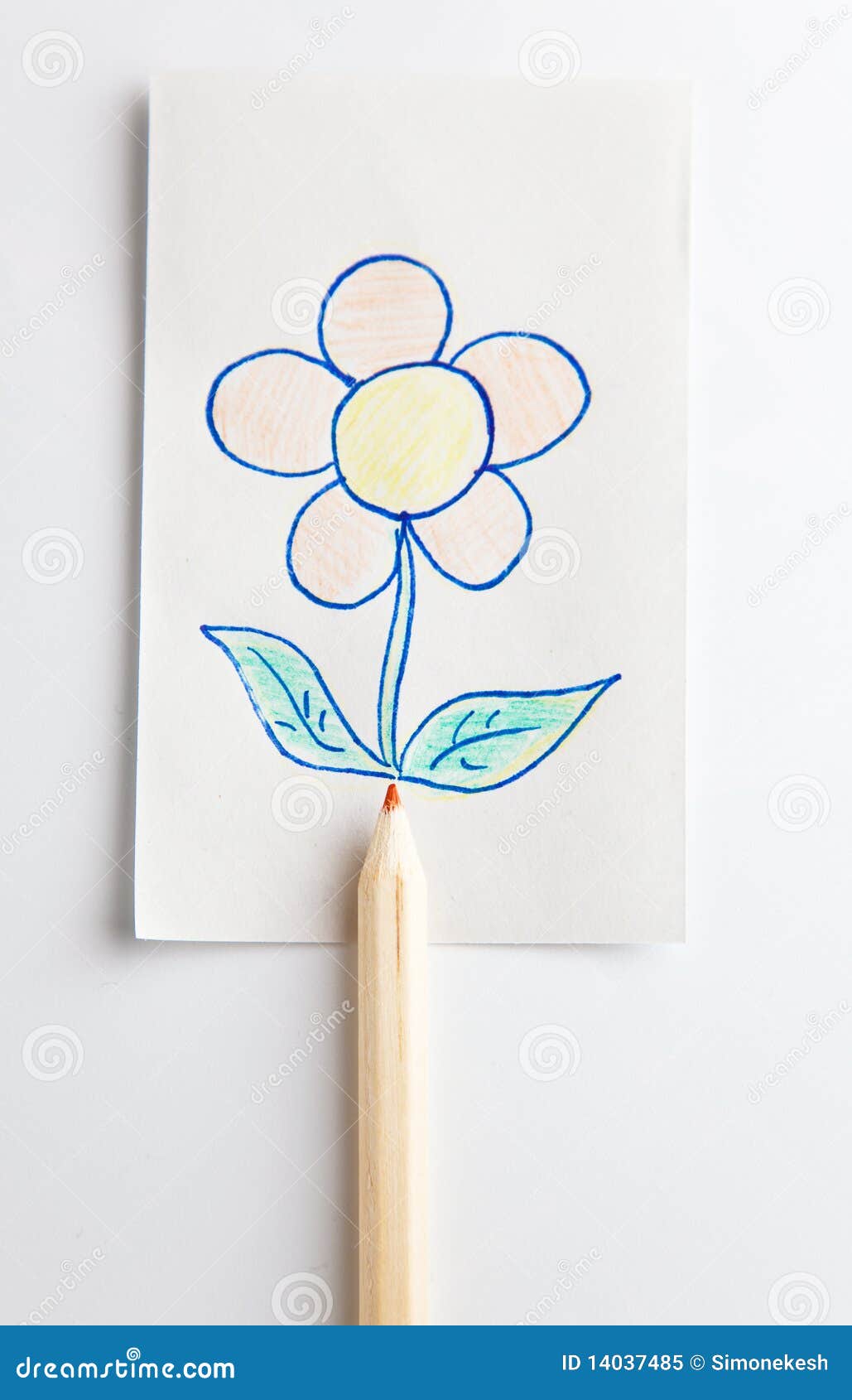 Flowers Growing on a Pencil Stock Image - Image of isolated, note: 14037485