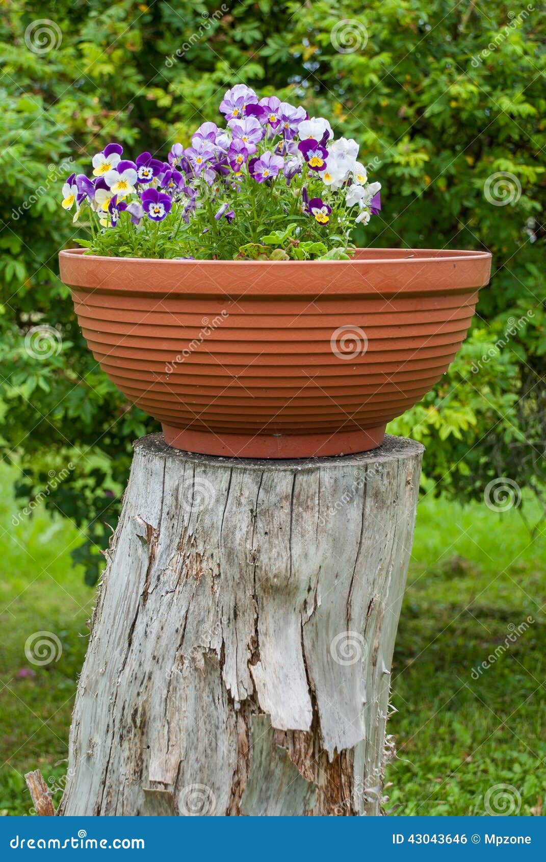 Flowers Growing on the Stump Stock Photo - Image of vase, butterfly ...