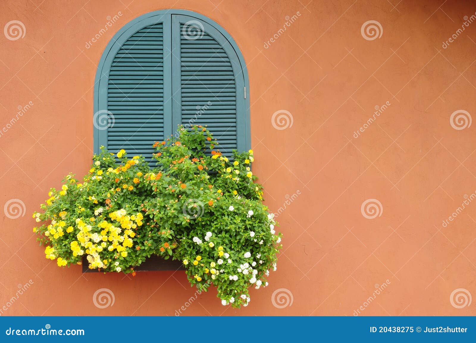 Flowers Hanging on the Window Stock Image - Image of nature, flower ...