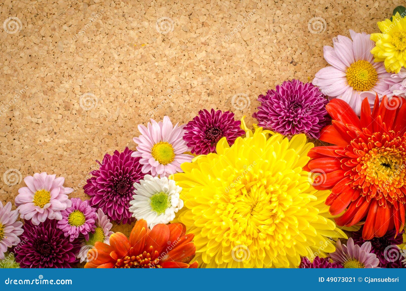 Flowers stock image. Image of pink, color, full, wedding - 49073021